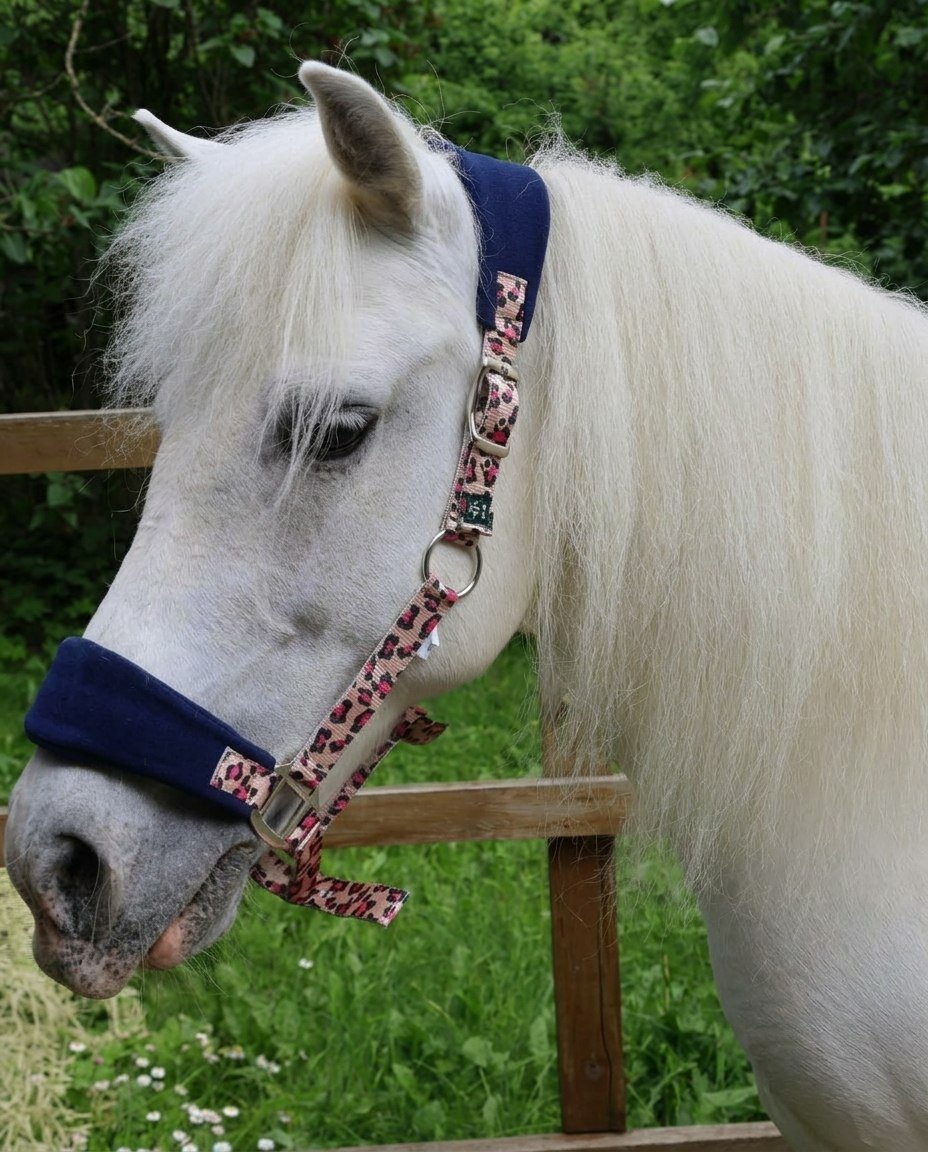Недоуздок Мелоди HorsePlanet Леопард — фото 1