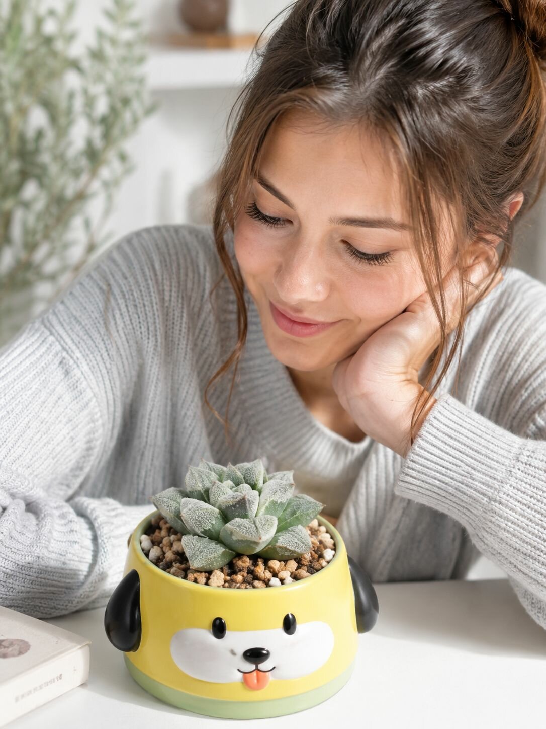 Хавортия Карликовая (Haworthia Pygmaea) D5см, суккулент в горшке
