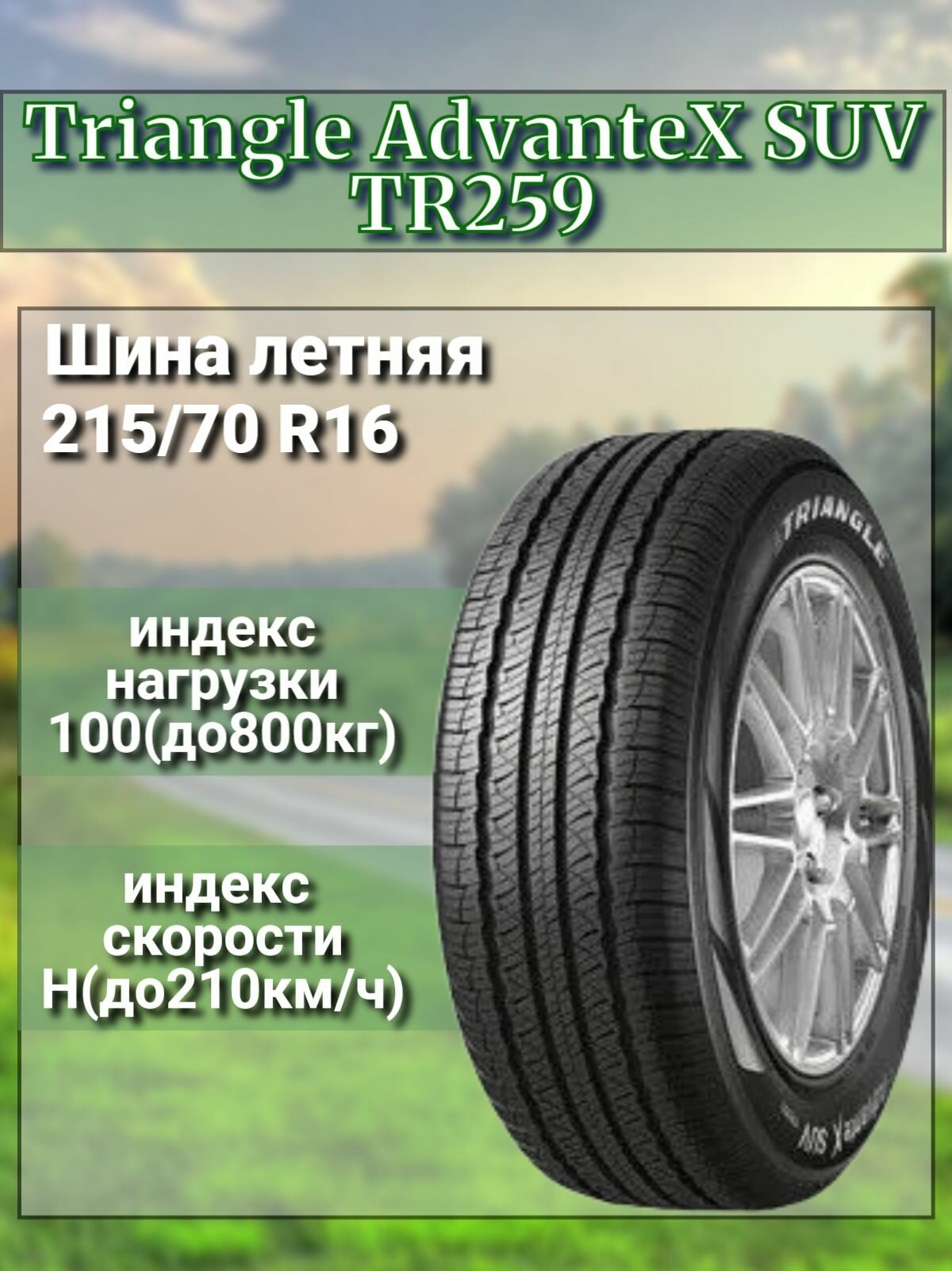 Шина легковая летняя Triangle AdvanteX SUV TR259 215/70 R16 100H