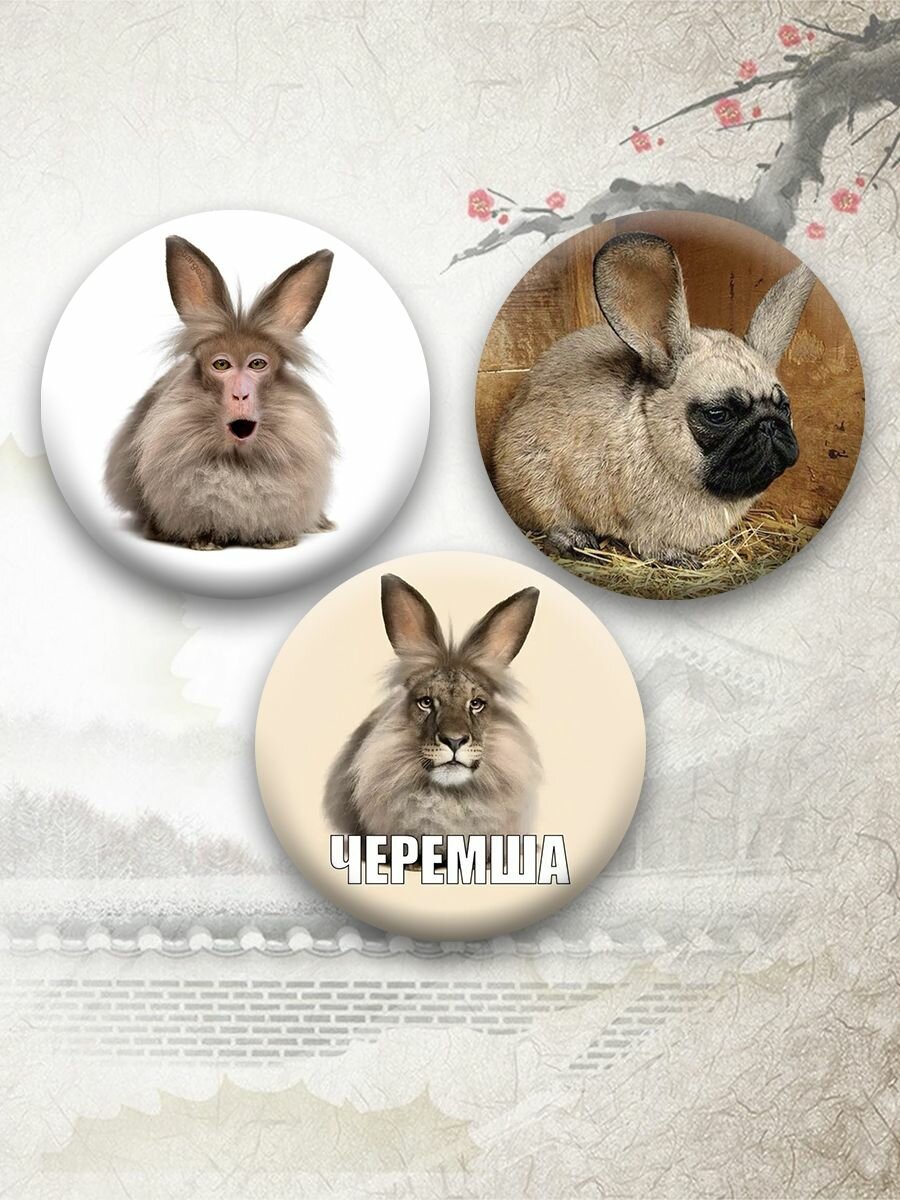 Набор значков