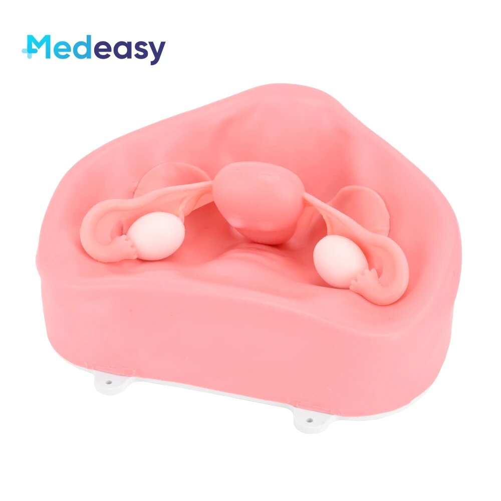 Медицинский симулятор гистероскопии и лапароскопии Medeasy J407