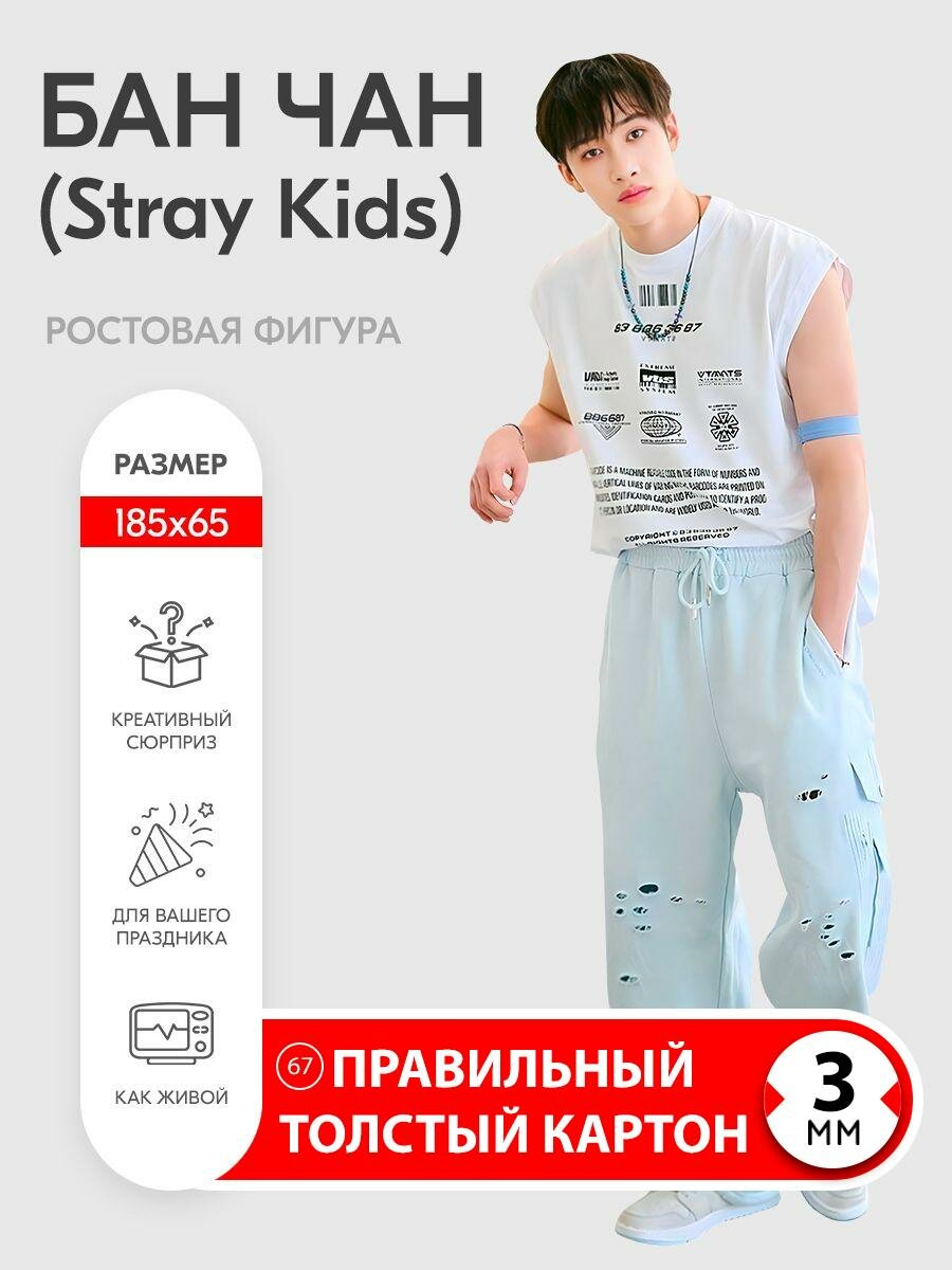 Аксессуар для фотосессий, самое это, Бан Чан (Stray Kids) 4, ростовая фигура