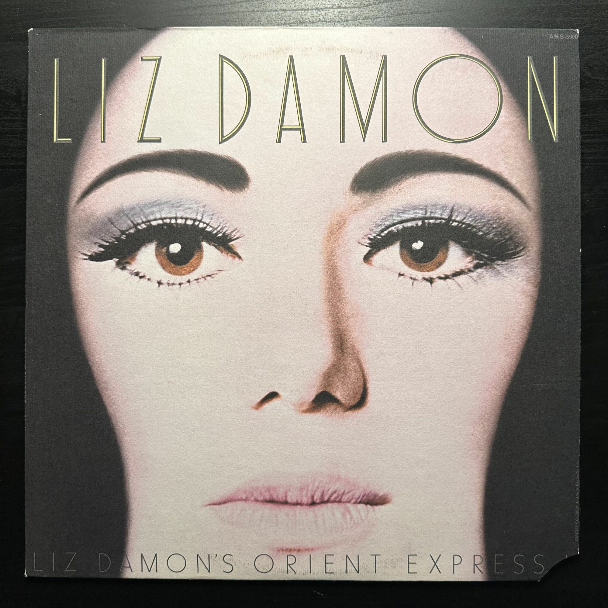 Виниловая пластинка Liz Damon's Orient Express Vol. II (США 1971г.)