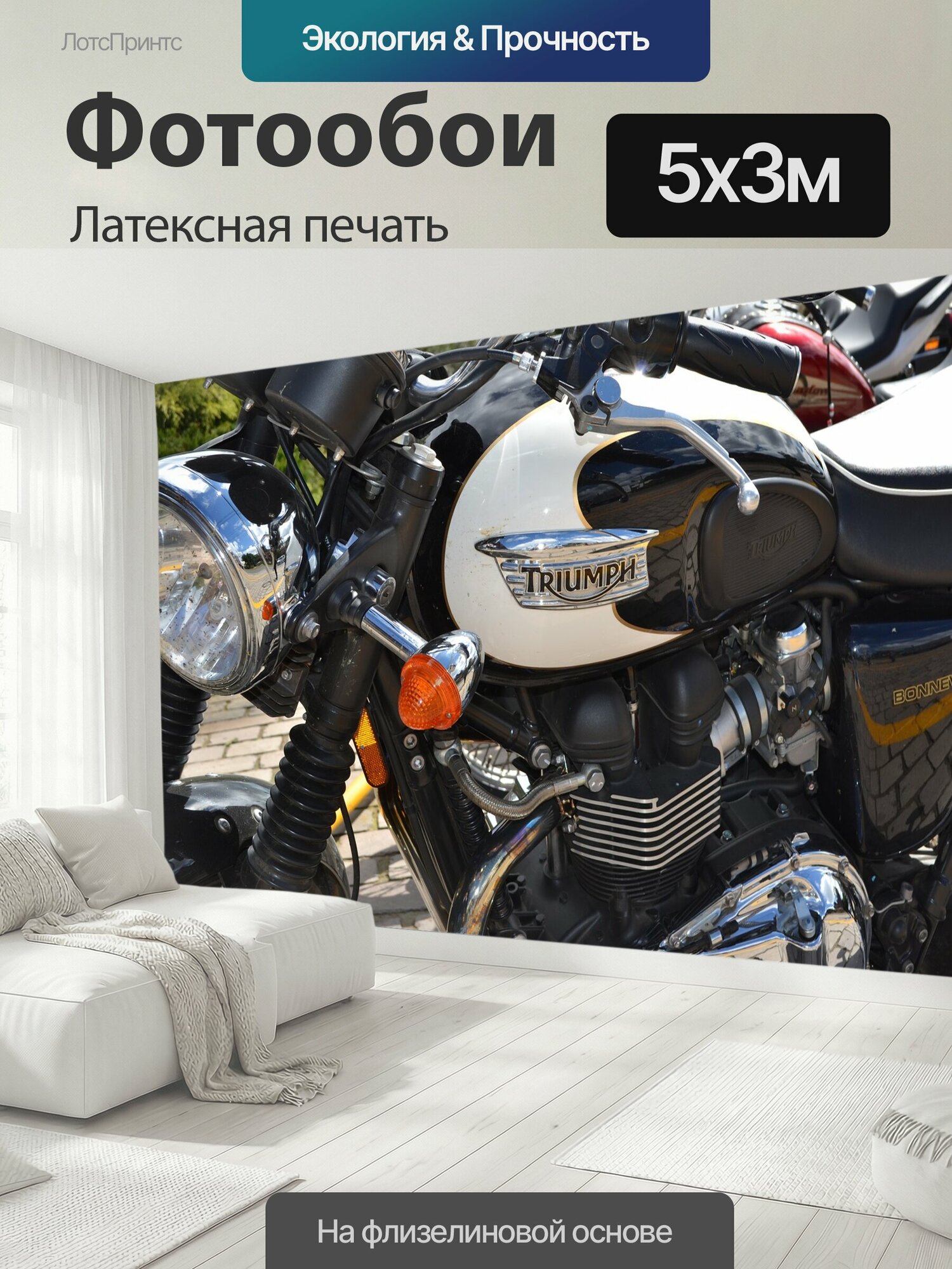 Фотообои моющиеся ударопрочные "Триумф, винтаж, мотоцикл" 500x300 см. латексная печать