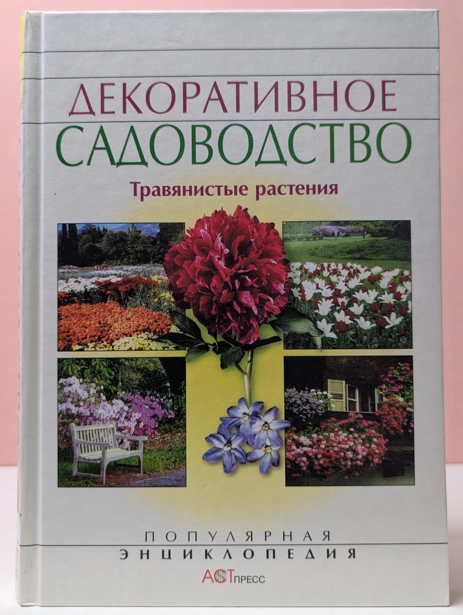 Популярная энциклопедия. Декоративное садоводство. Травянистые растения Аксенов Евгений Сергеевич, Аксенова Нина Александровна 2000
