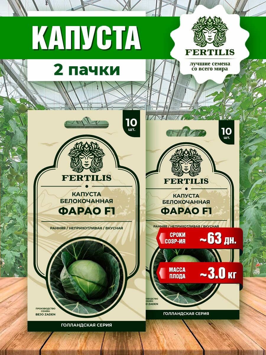 Семена капусты белокочанной "Фарао F1" (2 пачки)