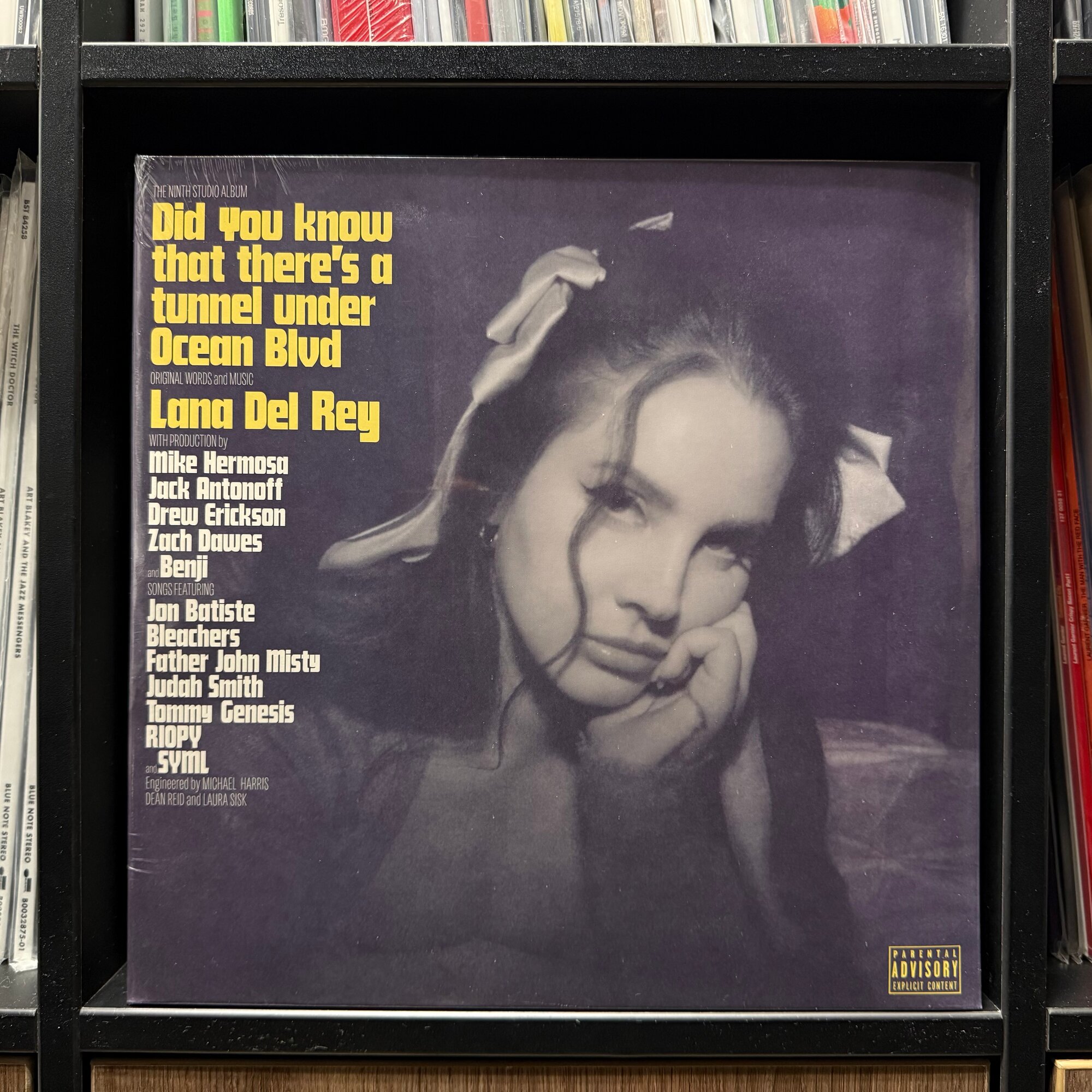 Виниловая пластинка Lana DEL REY - Did You Know That There's A Tunnel Under Ocean Blvd (still sealed, gatefold 2xLP) LP Винил