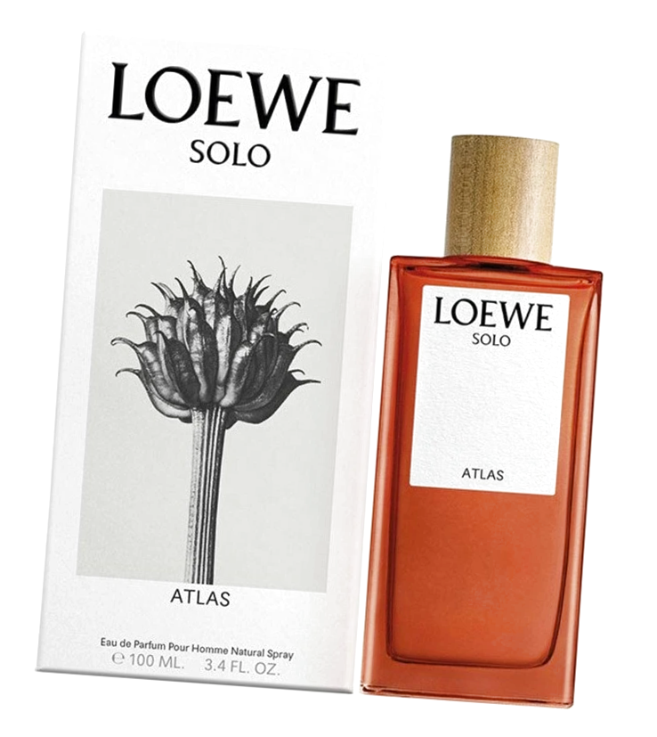 Мужская парфюмерная вода Loewe Solo Atlas 100 мл - Лоеве Соло Атлас аромат