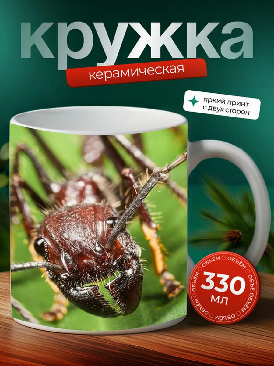 Кружка Муравей насекомое 4,
