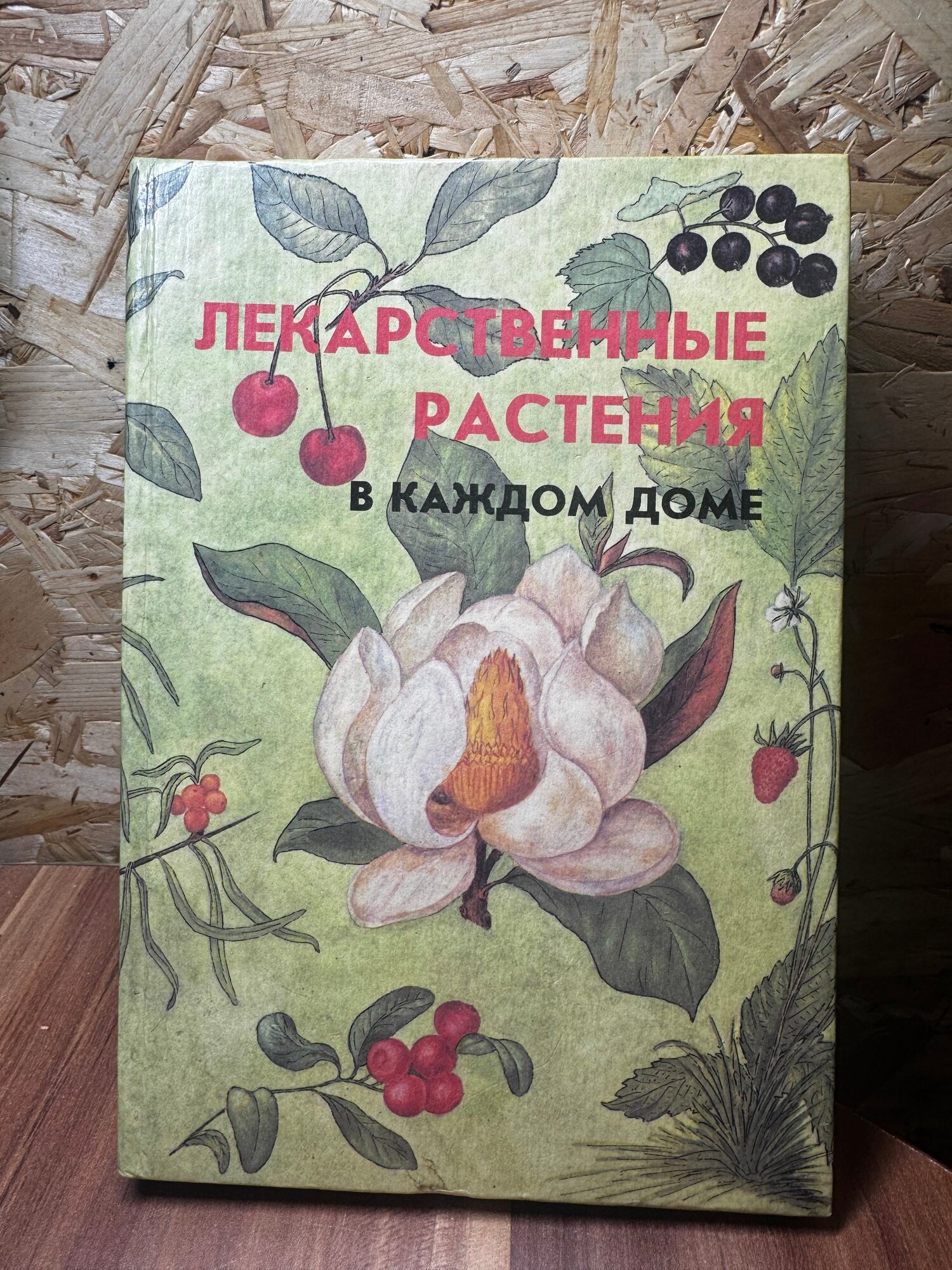 Лекарственные растения в каждом доме