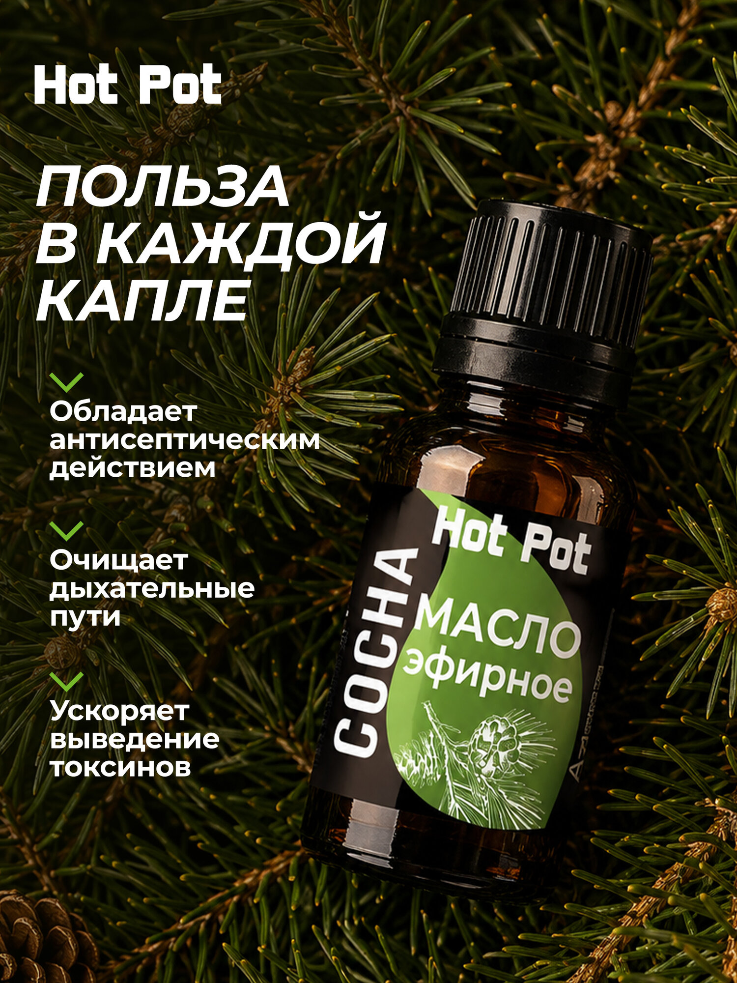 Эфирное масло Сосна Hot Pot — фото 1