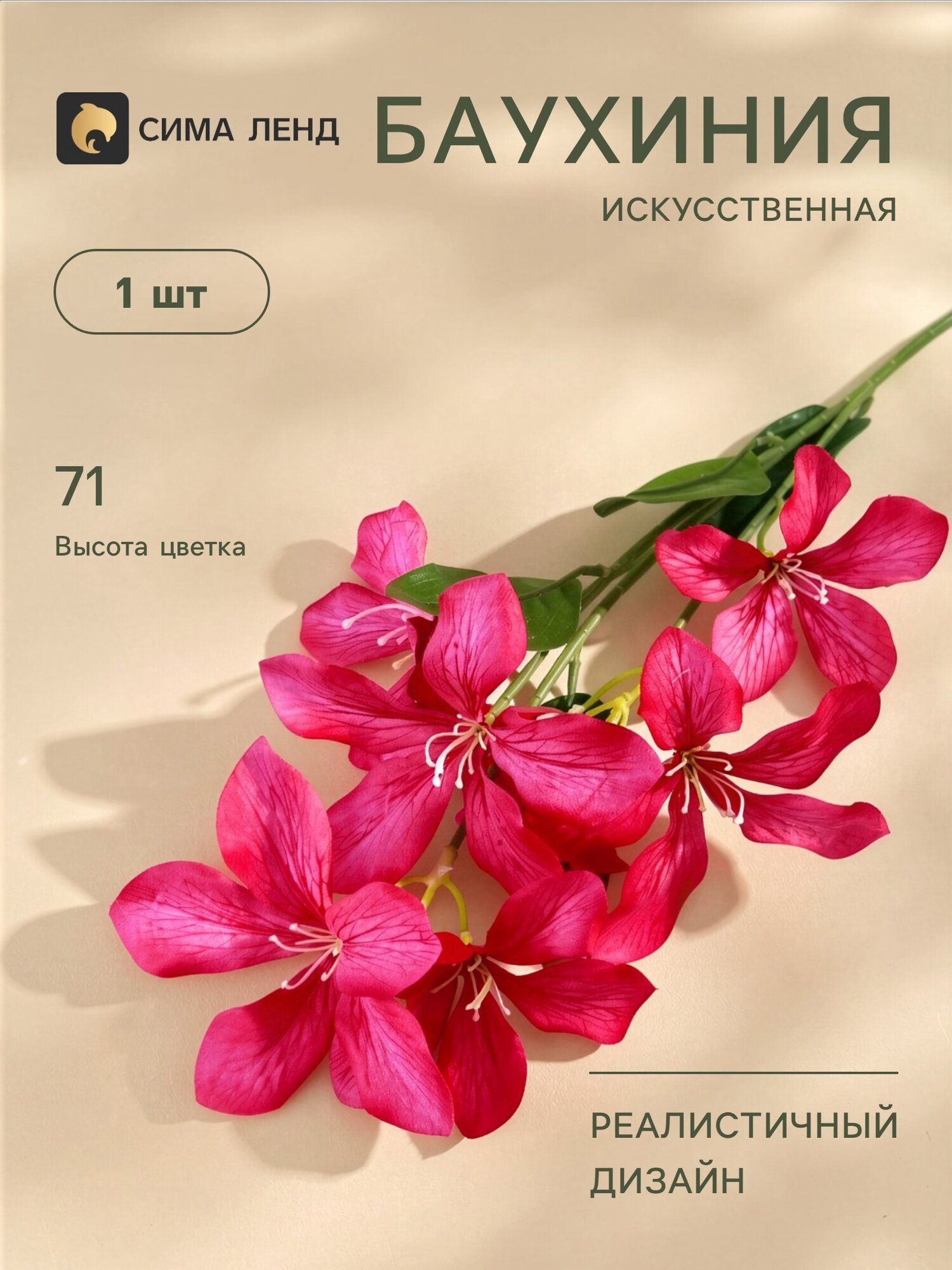 Цветы искусственные «Баухиния пёстрая», d=13 см, h=71 см, малиновые