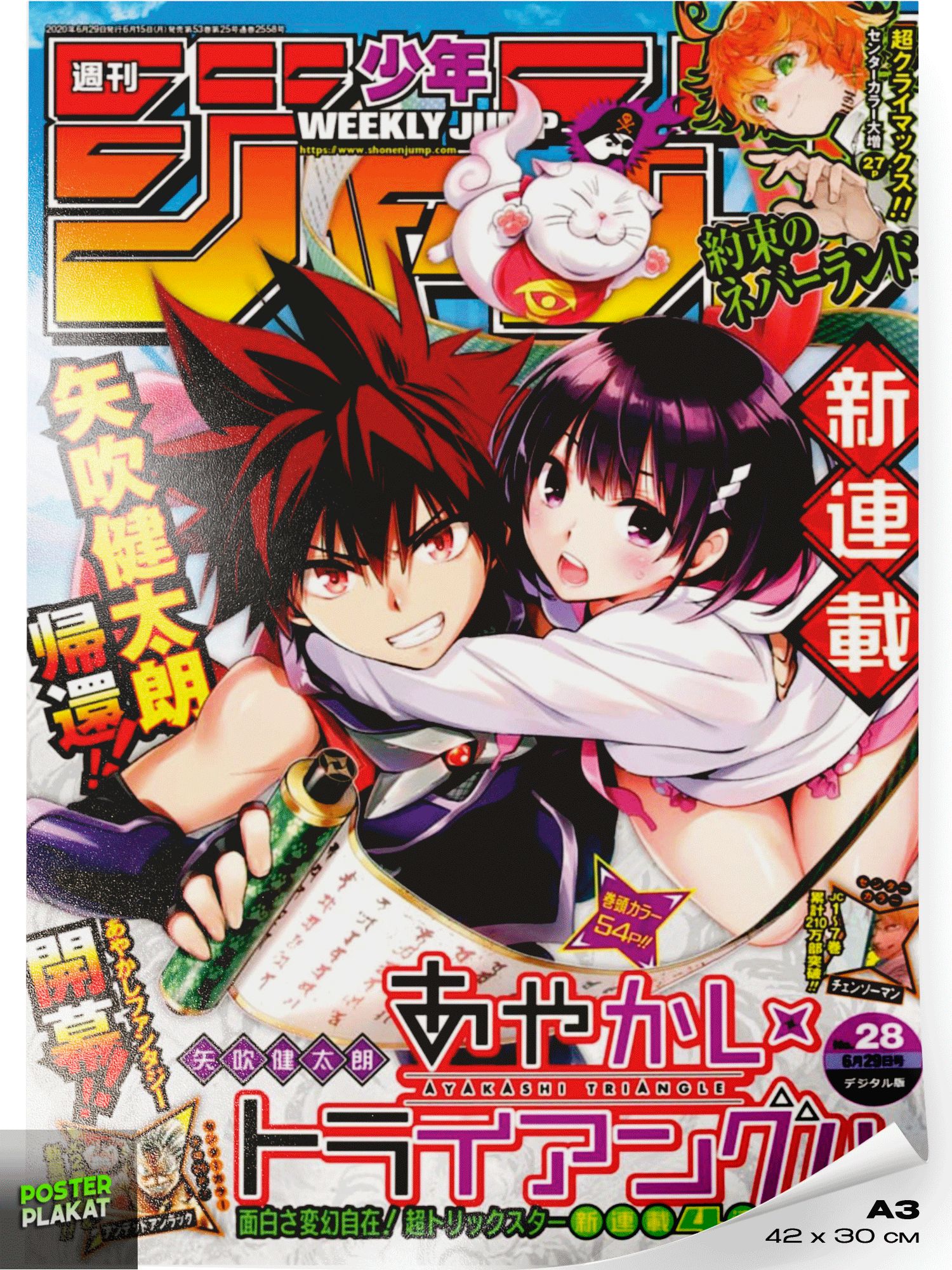 Постер аниме Треугольник аякаси (Ayakashi Triangle), Мацури и Судзу, обложка Weekly Shonen Jump №28, 2020, постер на стену для интерьера, плакат в комнату для дома и офиса, А3 (420х297 мм), ПП