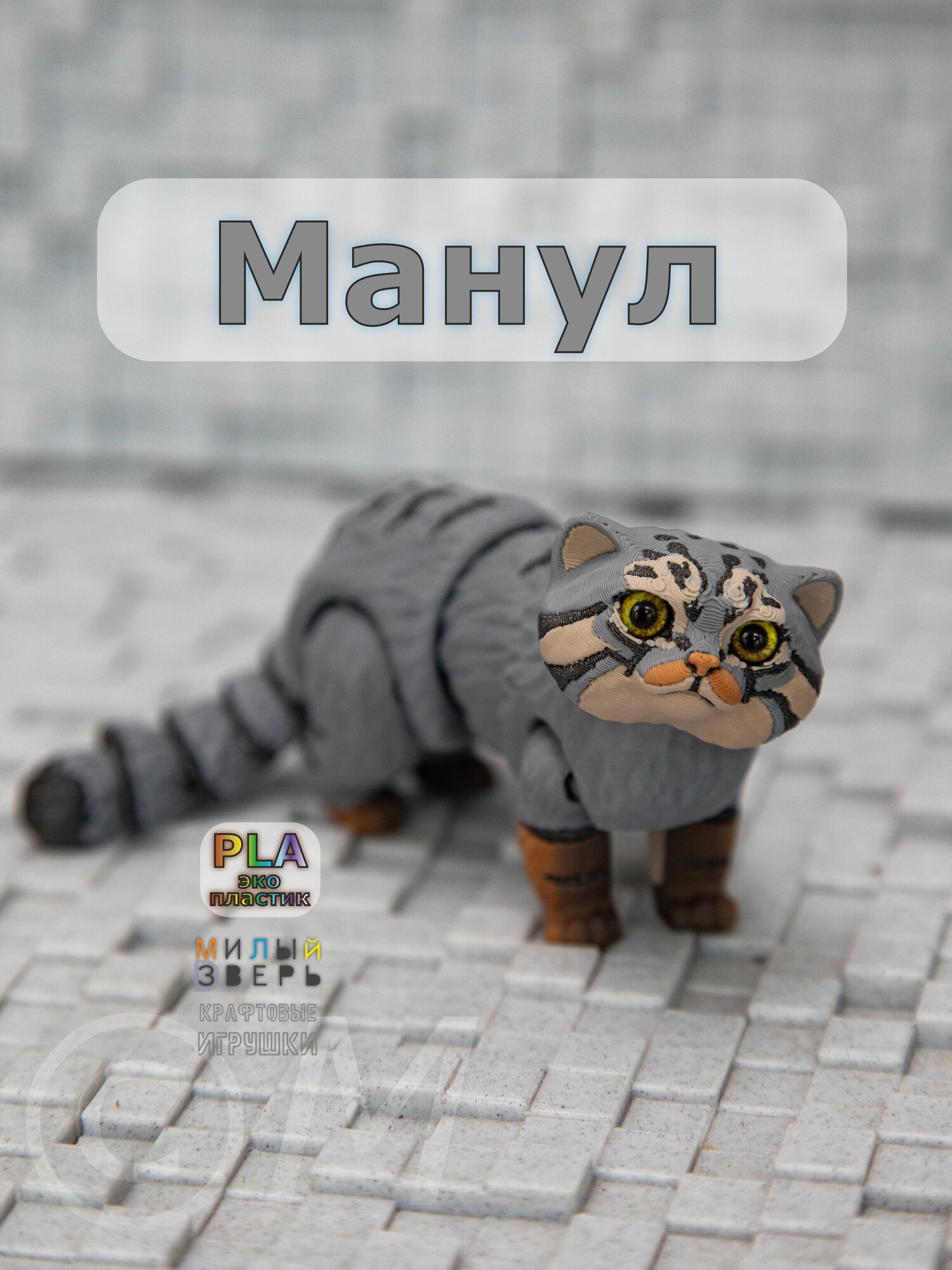 Кот Манул Тимофей (палласов кот)