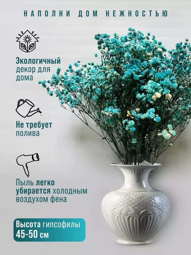 Сухоцветы Гипсофила, 50 см, 50 гр