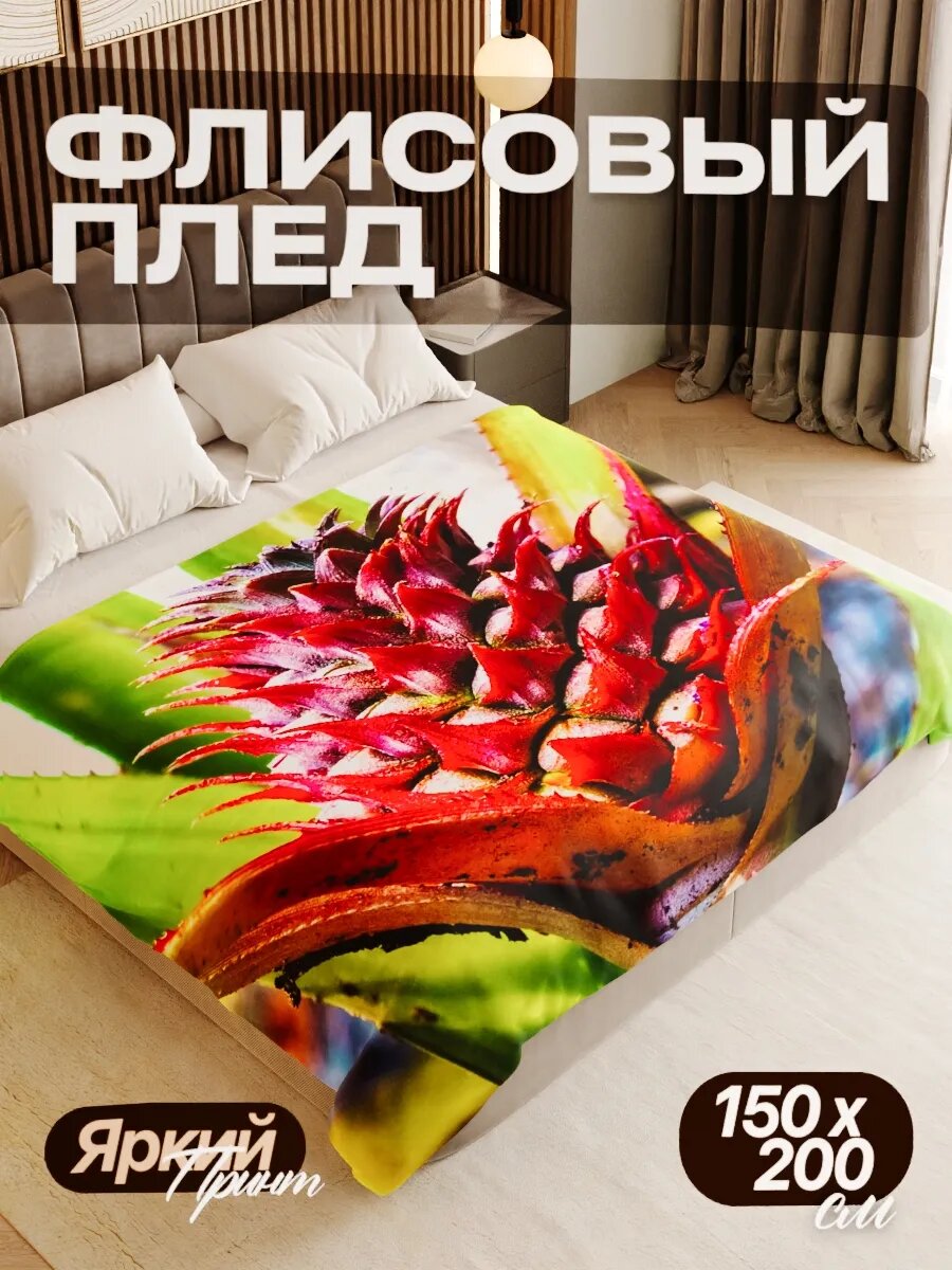 Плед флисовый 150х200 см мягкий теплый покрывало для дома