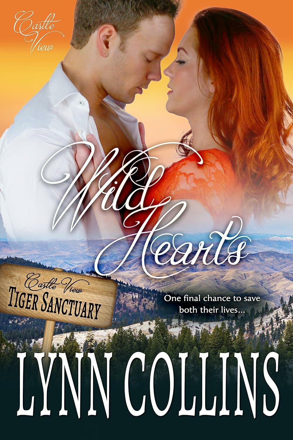 Wild Hearts: Castle View Romance series, book 1 (A Castle View Romance Story)，Reprinted paperback book