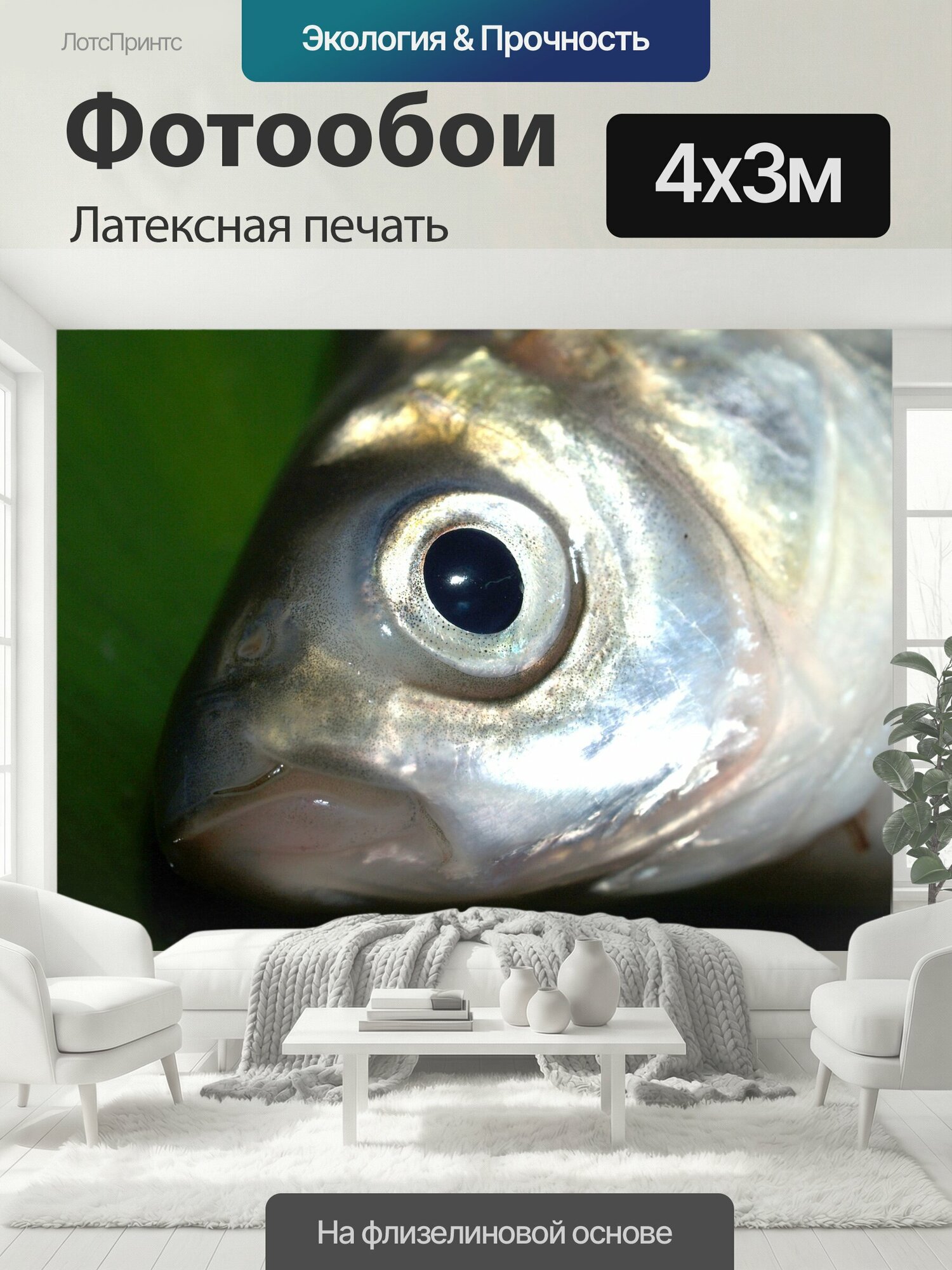 Фотообои моющиеся ударопрочные "Рыбы, карп, еда" 400x300 см. латексная печать