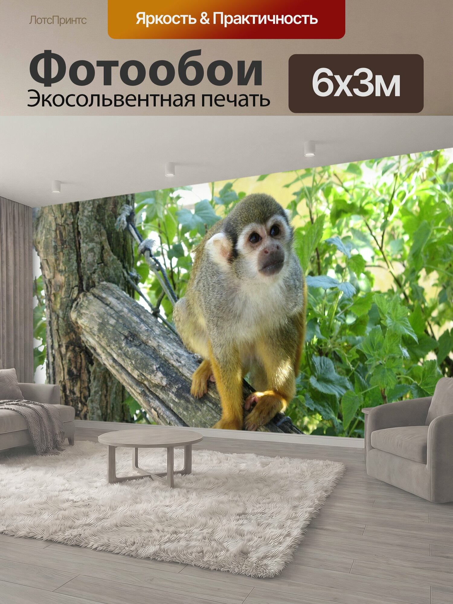 Фотообои "Обезьяна, монах, игрунка" 600x300 см. экосольвентная печать