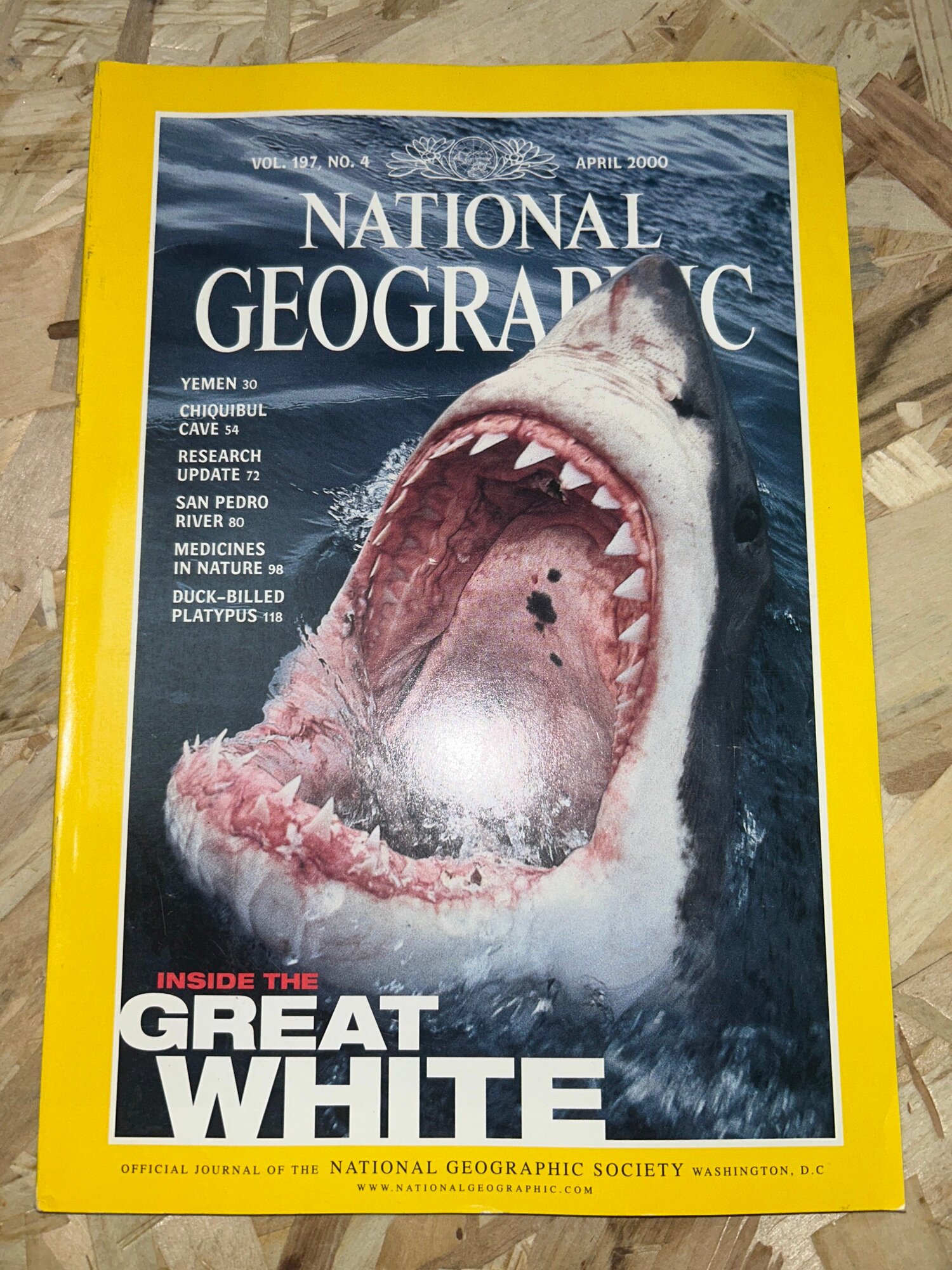 National Geographic Magazine April 2000 Vol 197 No. 4 Inside the Great White