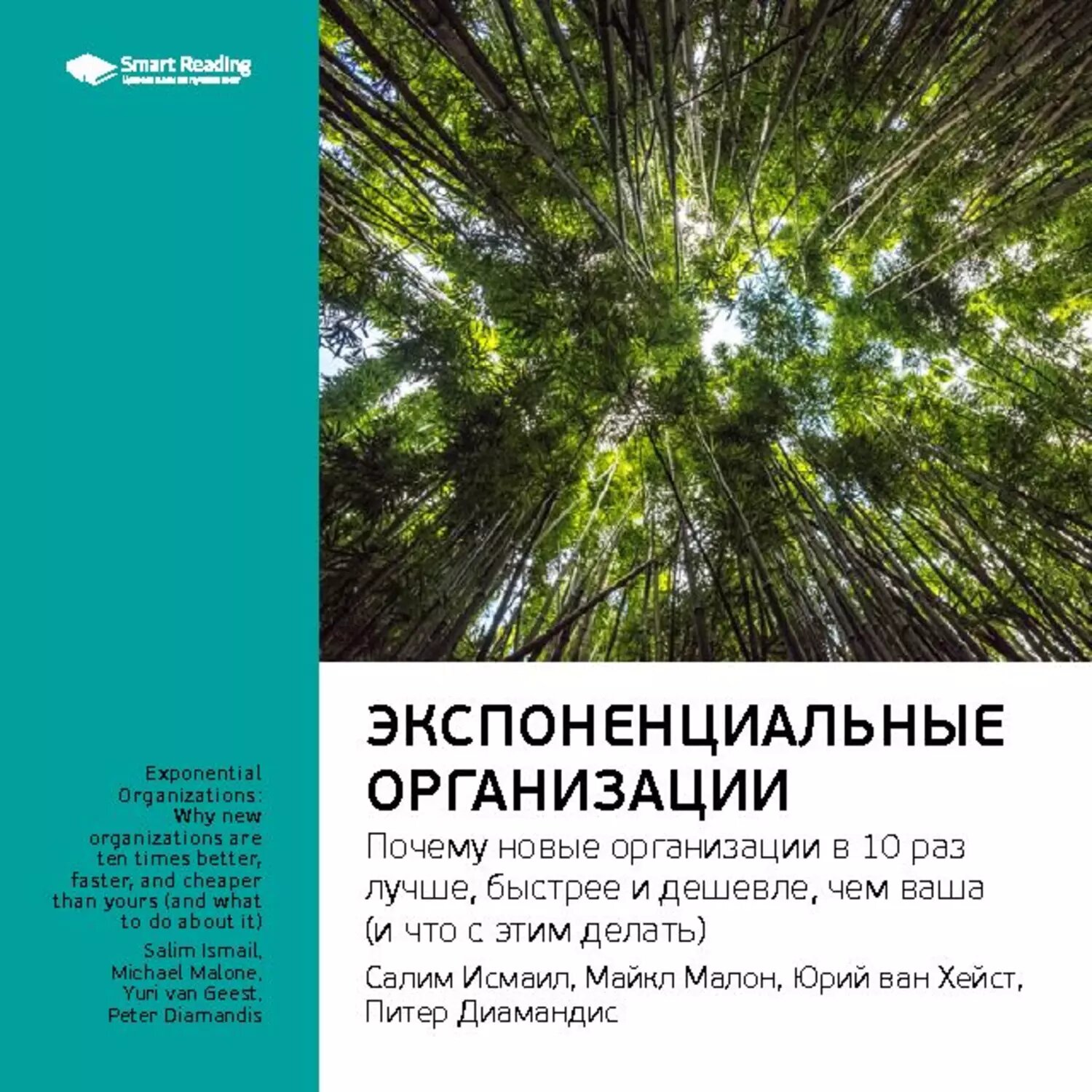 Ключевые идеи книги: Экспоненциальные организации: почему новые организации в 10 раз лучше, быстрее и дешевле, чем ваша (и что с этим делать). Салим Исмаил, Майкл Мэлоун, Юри ван Геест [Аудиокнига]