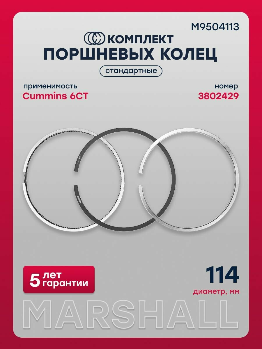 Кольца поршневые (комплект) для Cummins 6CT о. н. 3802429 (M9504113)
