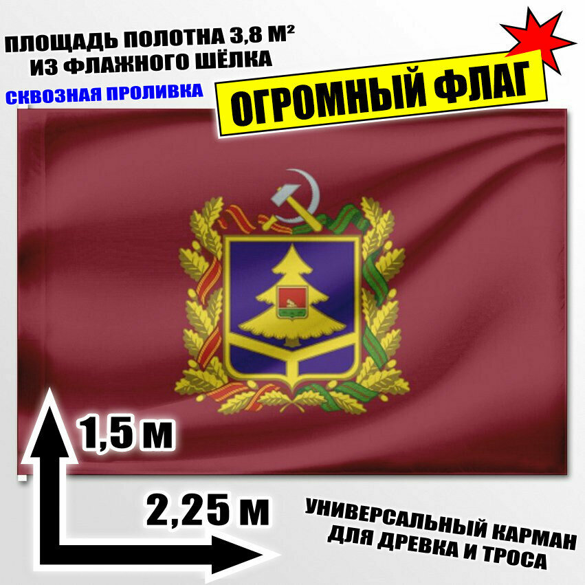 Флаг огромный Брянской области 225x150 см