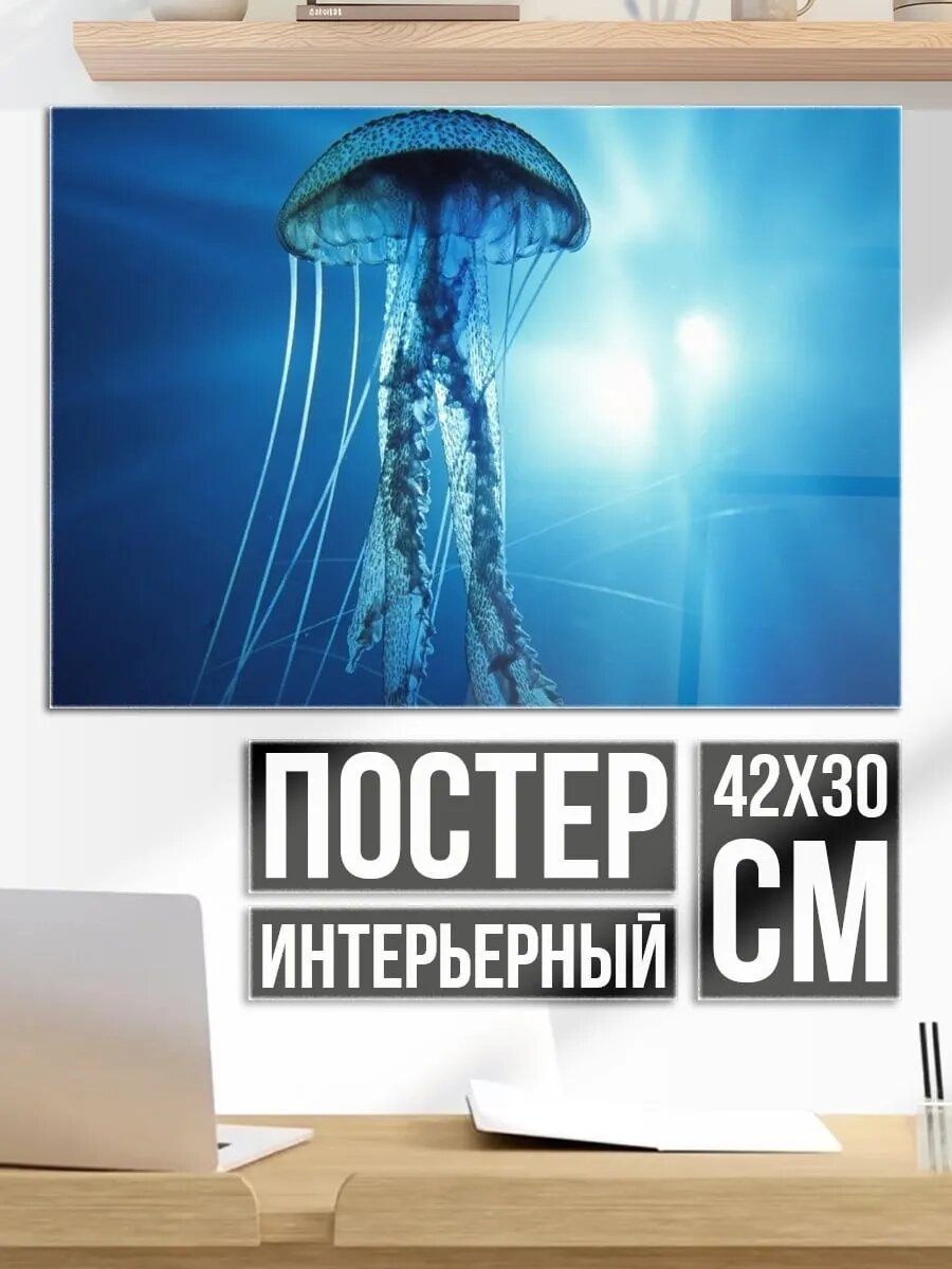 Плакат постер Медуза в глубине