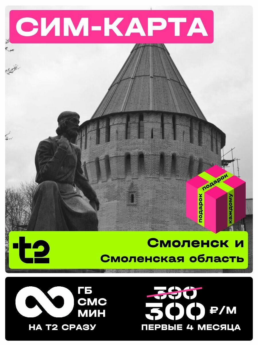 Сим карта теле 2 с безлимитным интернетом и минутами. t2 SIM-карта тариф хватит Смоленская область. За 300 рублей в месяц.