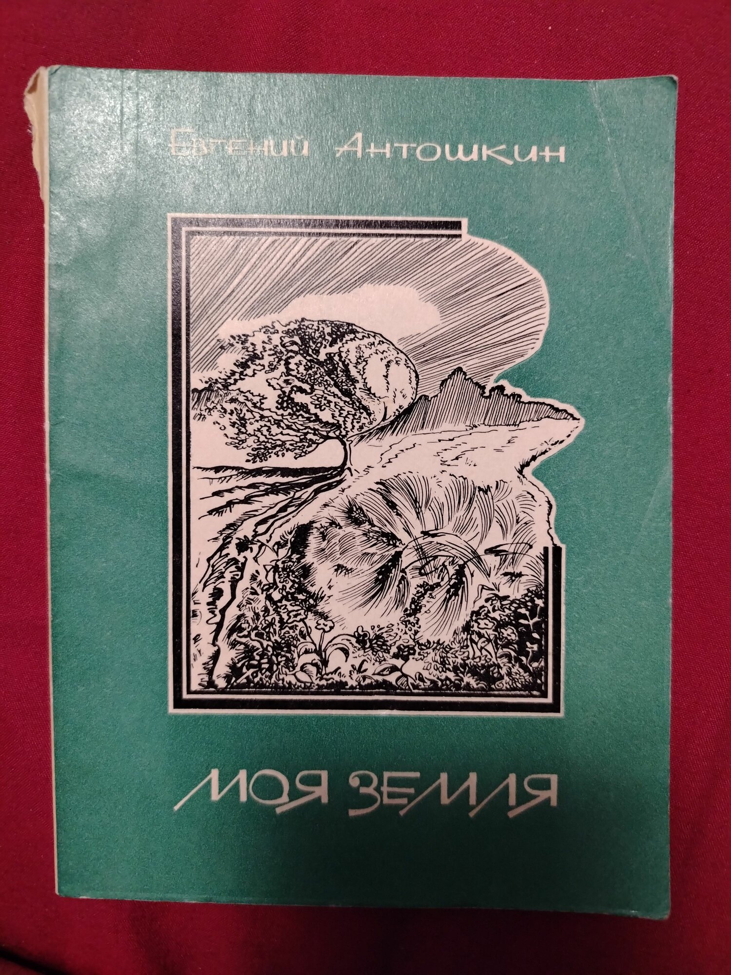 Моя земля (Стихи)