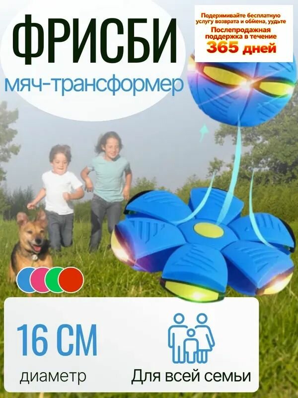 Фрисби