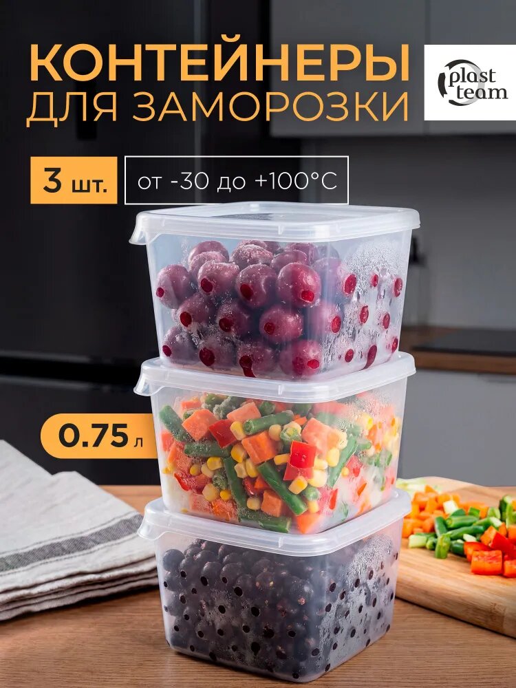 Контейнер пищевой "Plast Team", 750 мл, 3 шт