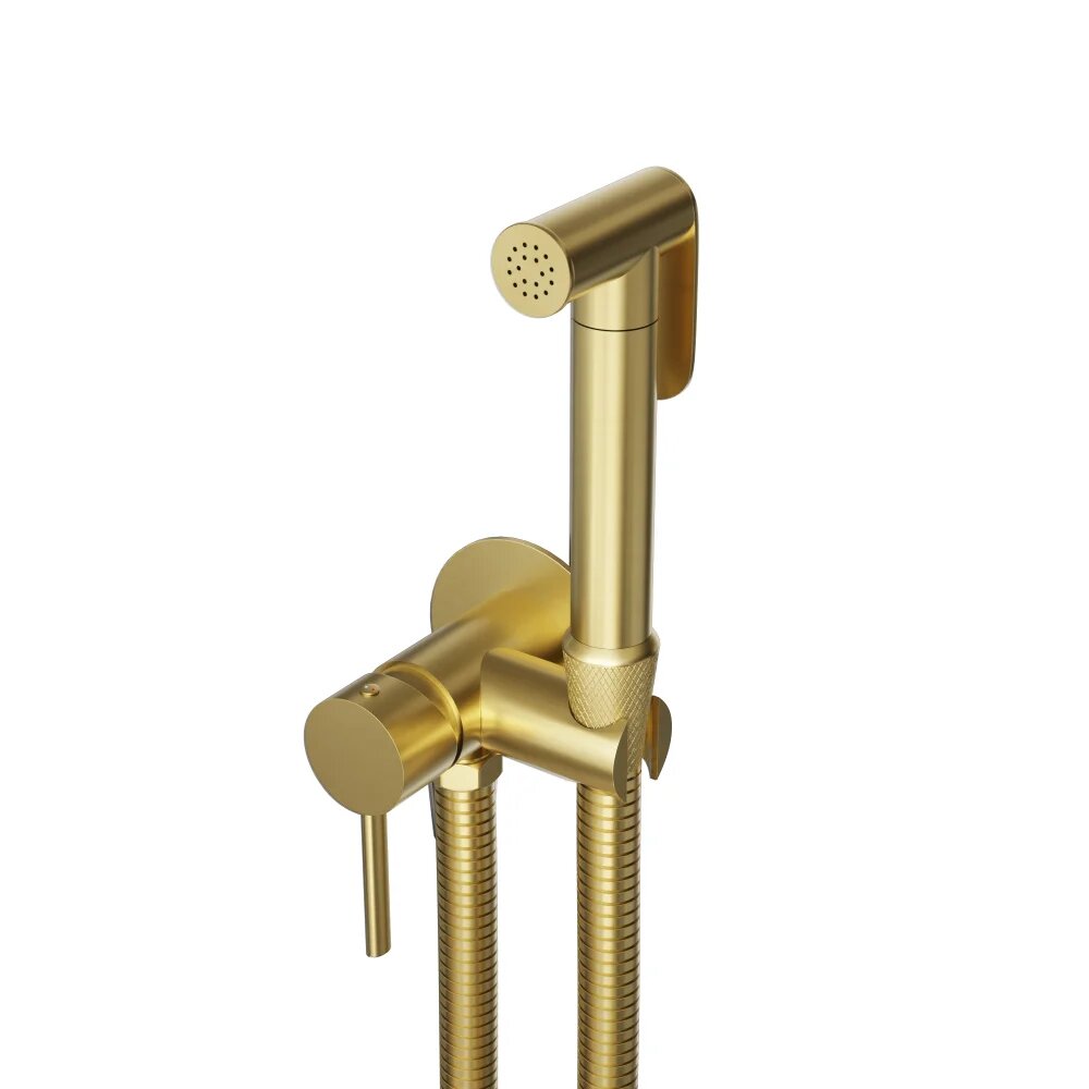 Гигиенический душ RGW Shower Panels SP-211Gb встраиваемый, скрытого монтажа, со смесителем, латунь, рычажный, смеситель для биде