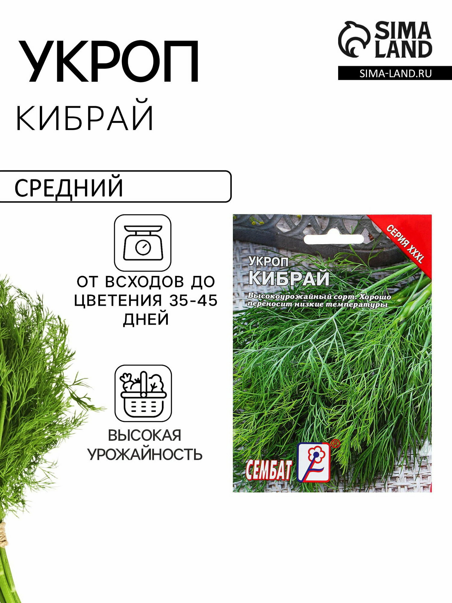 Семена Укроп "Кибрай", XXXL, 20 г, вид: простые семена, посев (посадка) в грунт: апрель