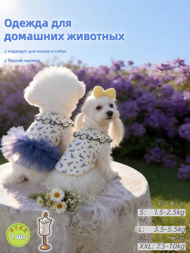 Летняя майка для собак и кошек, одежда с оборками и принтом мишки