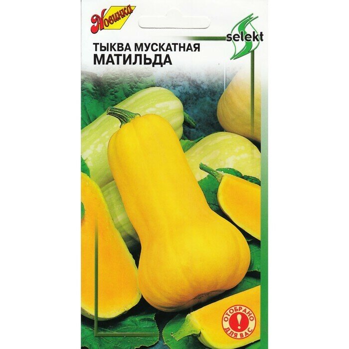 Семена Тыква мускатная 'Матильда' select, 10 шт