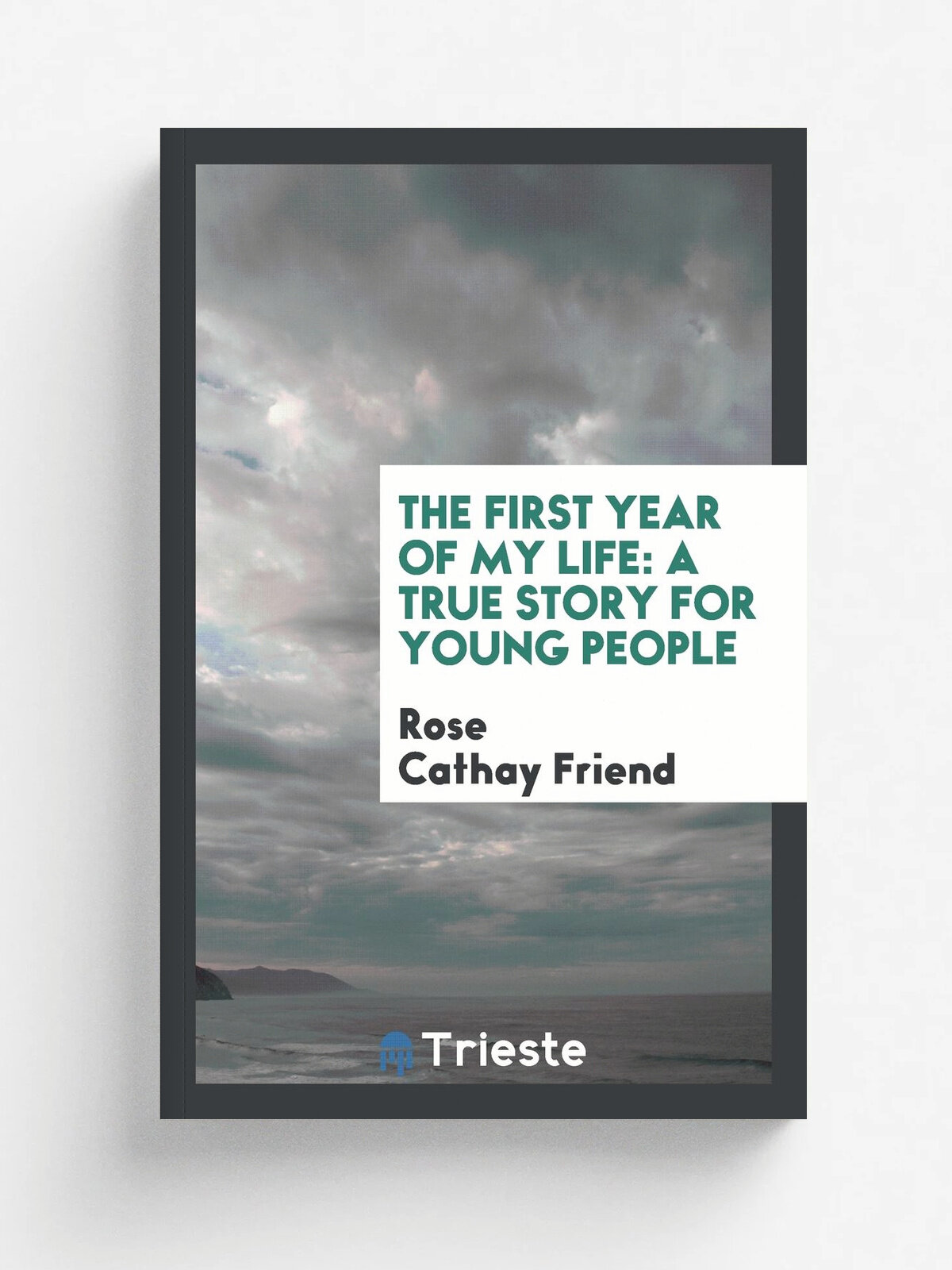 The First Year of My Life. A True Story for Young People