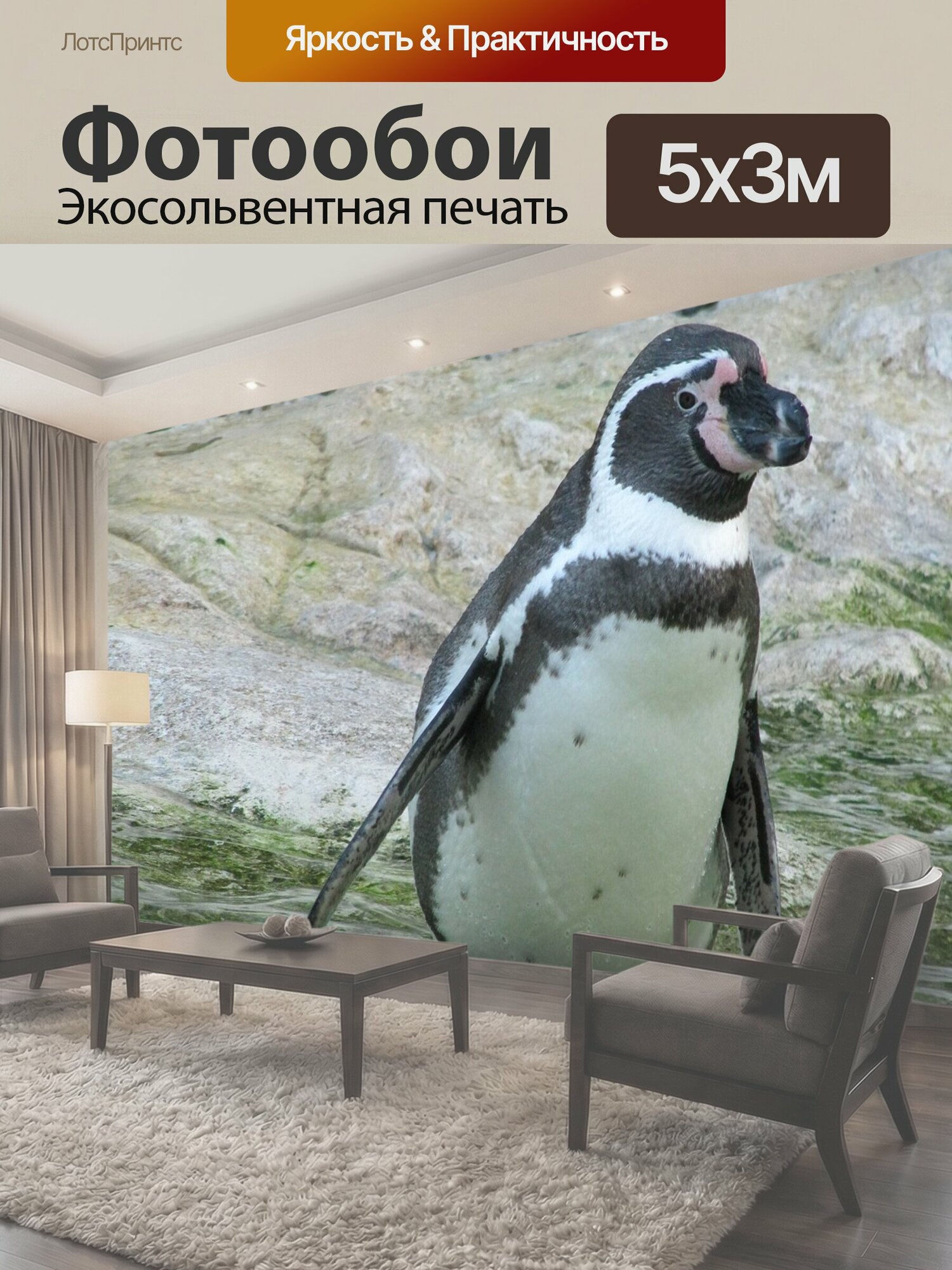 Фотообои "Пингвин, зоопарк, птица" 500x300 см. экосольвентная печать