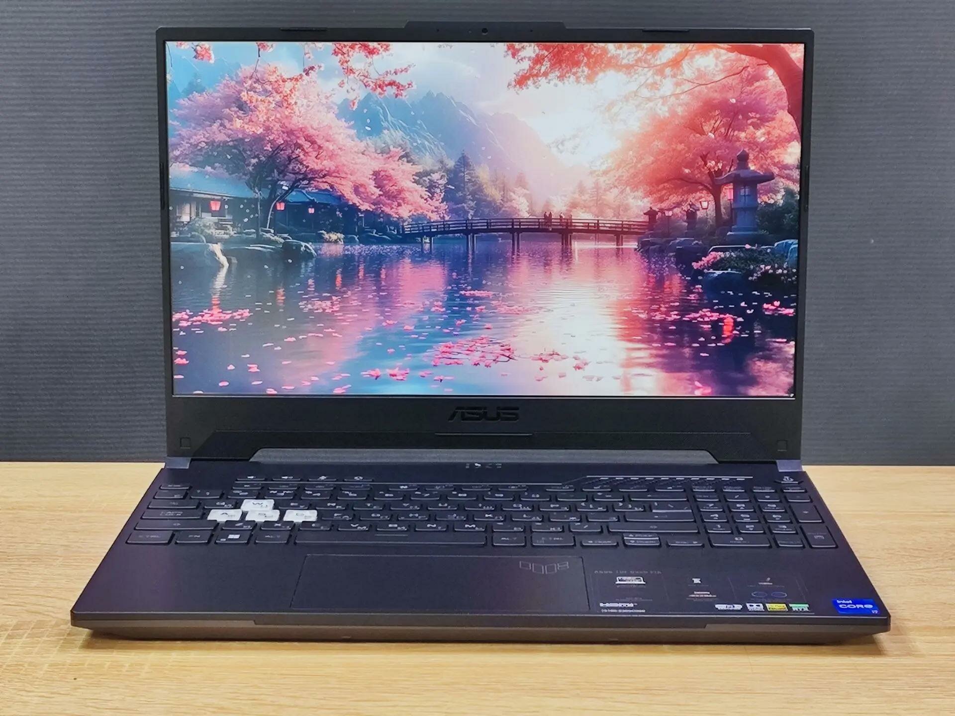 Ноутбук Asus TUF Gaming FX517ZE-HN066\15.6" IPS 144Гц\Core i7-12650H\RTX 3050 Ti\16GВ DDR5\SSD 512GВ\Windows 11 + Office