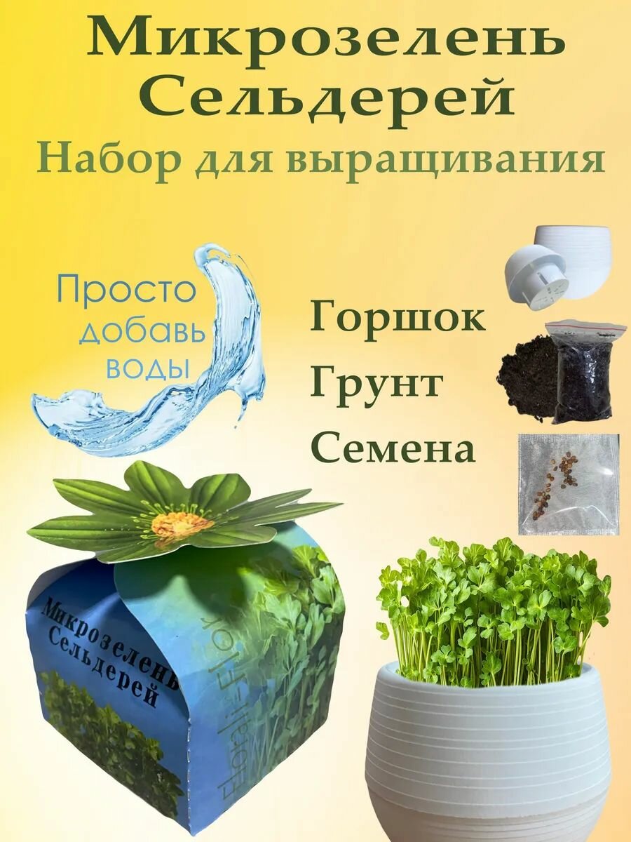 Набор для выращивания микрозелень сельдерей