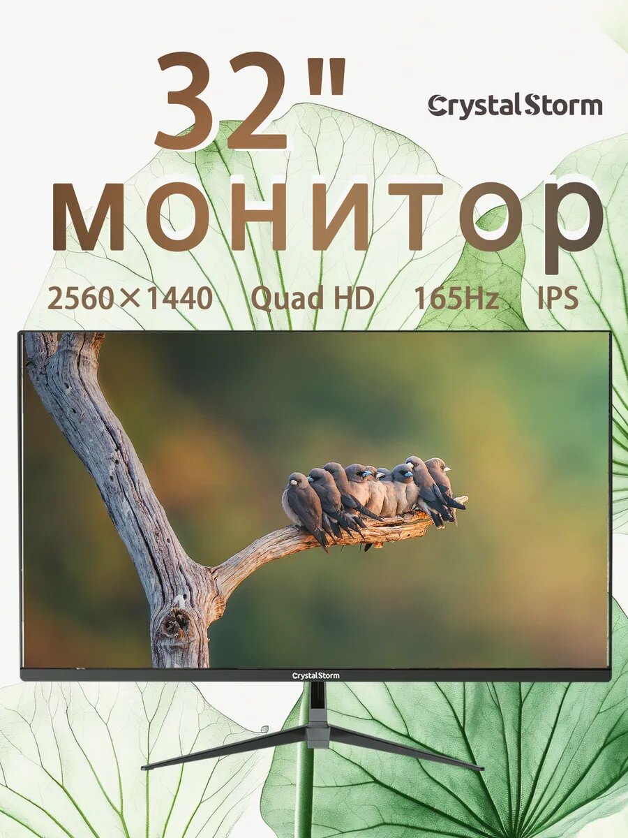 Монитор CrystalStorm, диагональ 32", 2560 x 1440 пикселей, 165Гц, матовый, чёрный