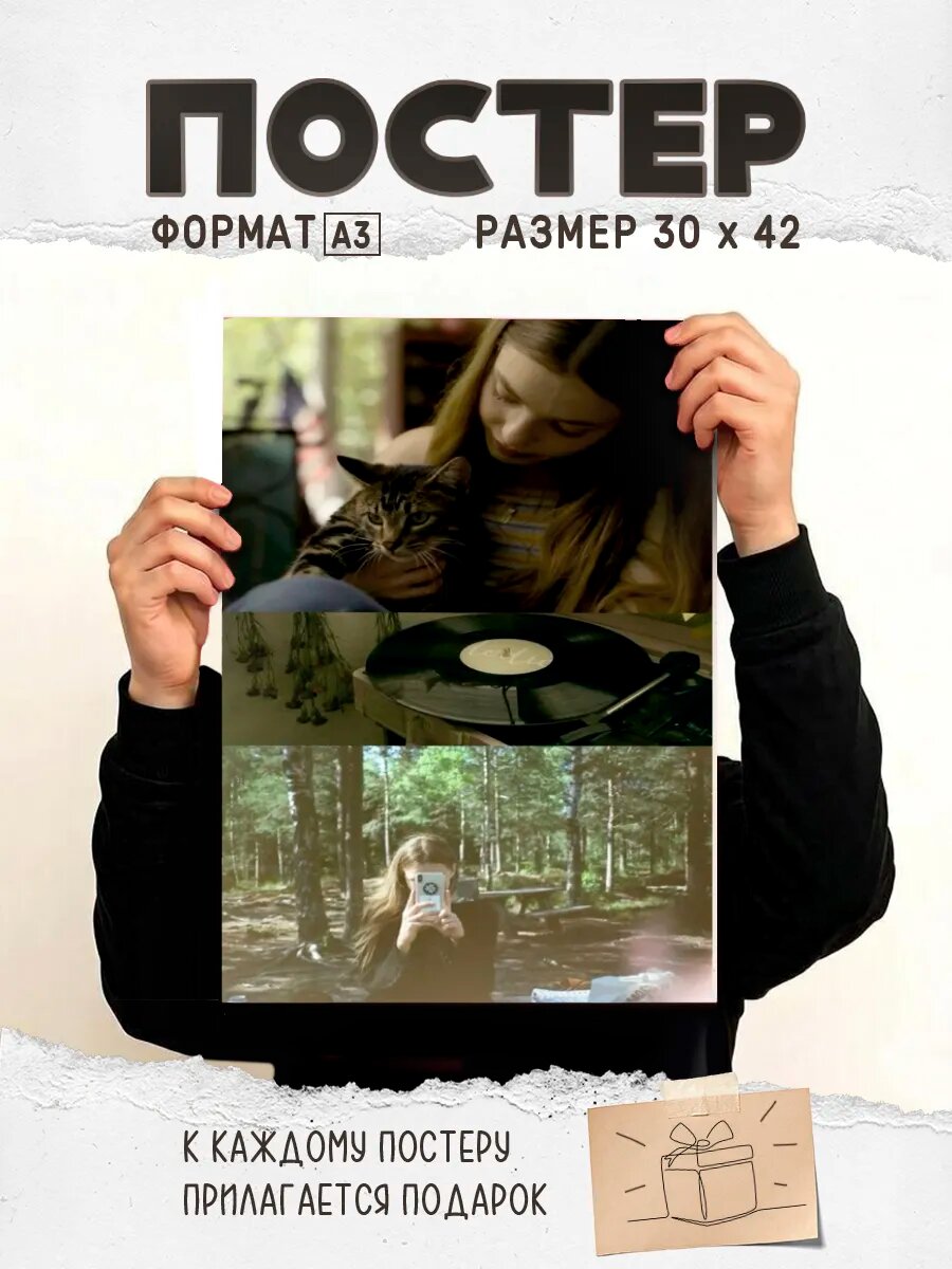 Постер на стену в поисках Аляски