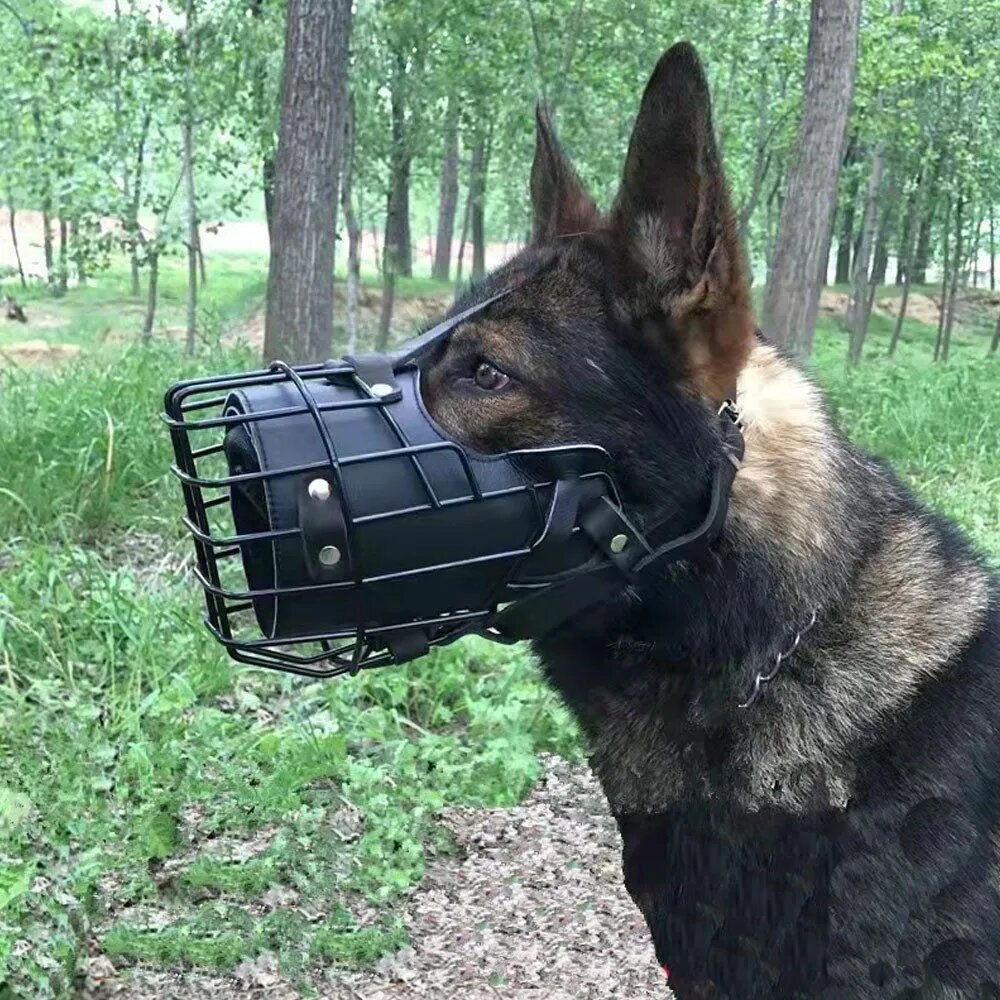 Намордник