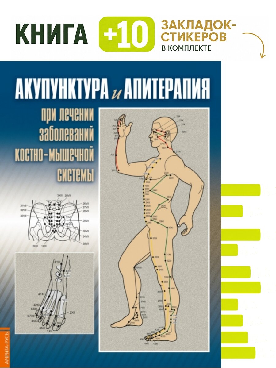 Акупунктура и апитерапия при лечении заболеваний костно-мышечной системы. Комплект: книга + 10 закладок-стикеров