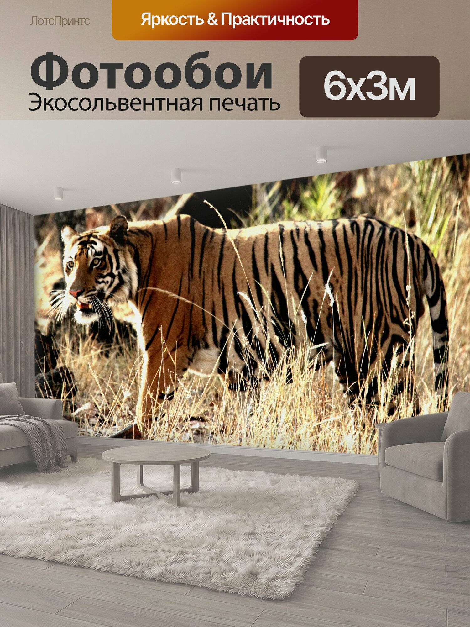 Фотообои "Тигр Мужской тигр охота Bandhavgarh Индии Тигр охота Индия Bandhavgarh" 600x300 см. экосольвентная печать