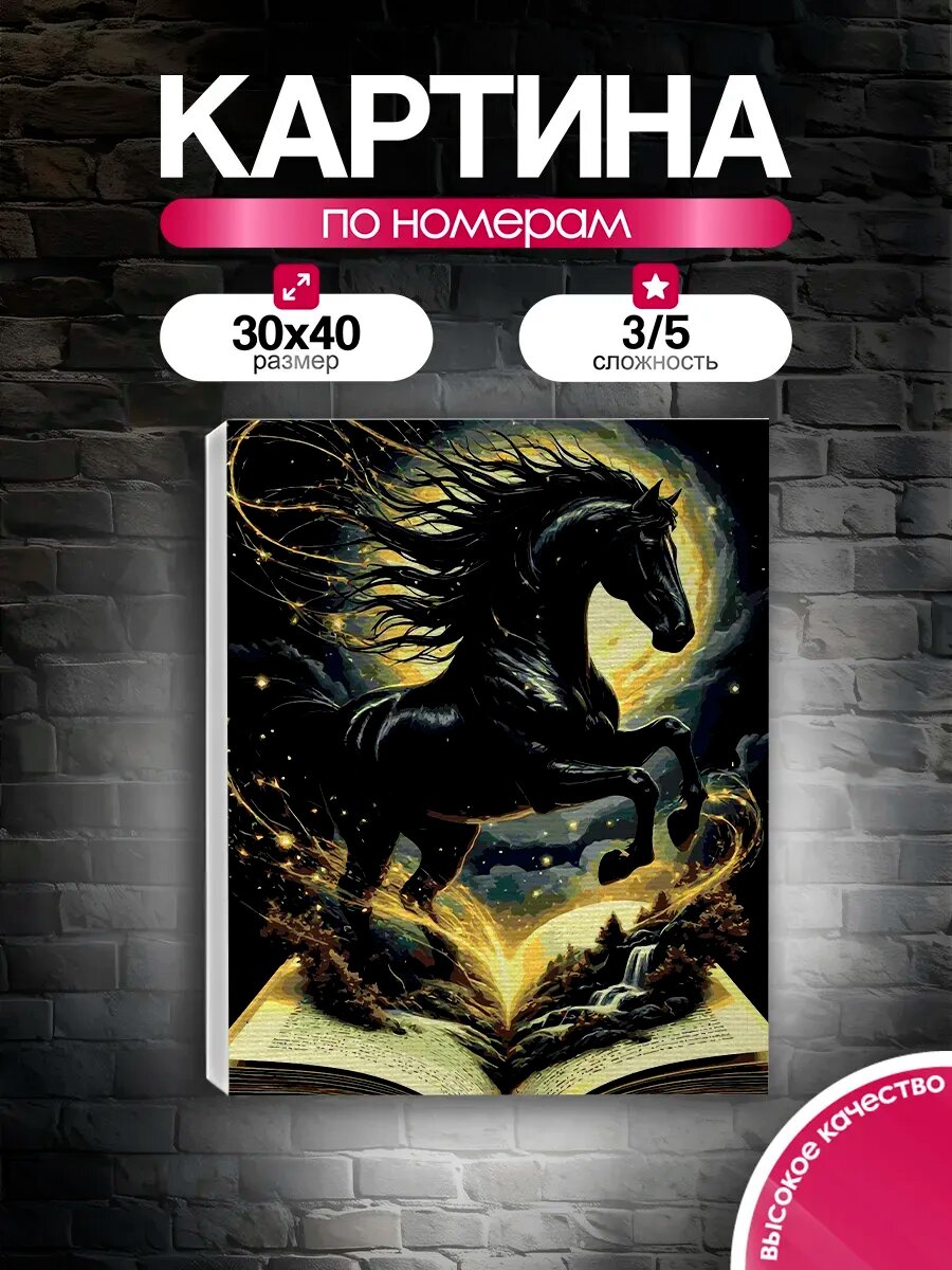 Картина по номерам 30x40 Вороной конь