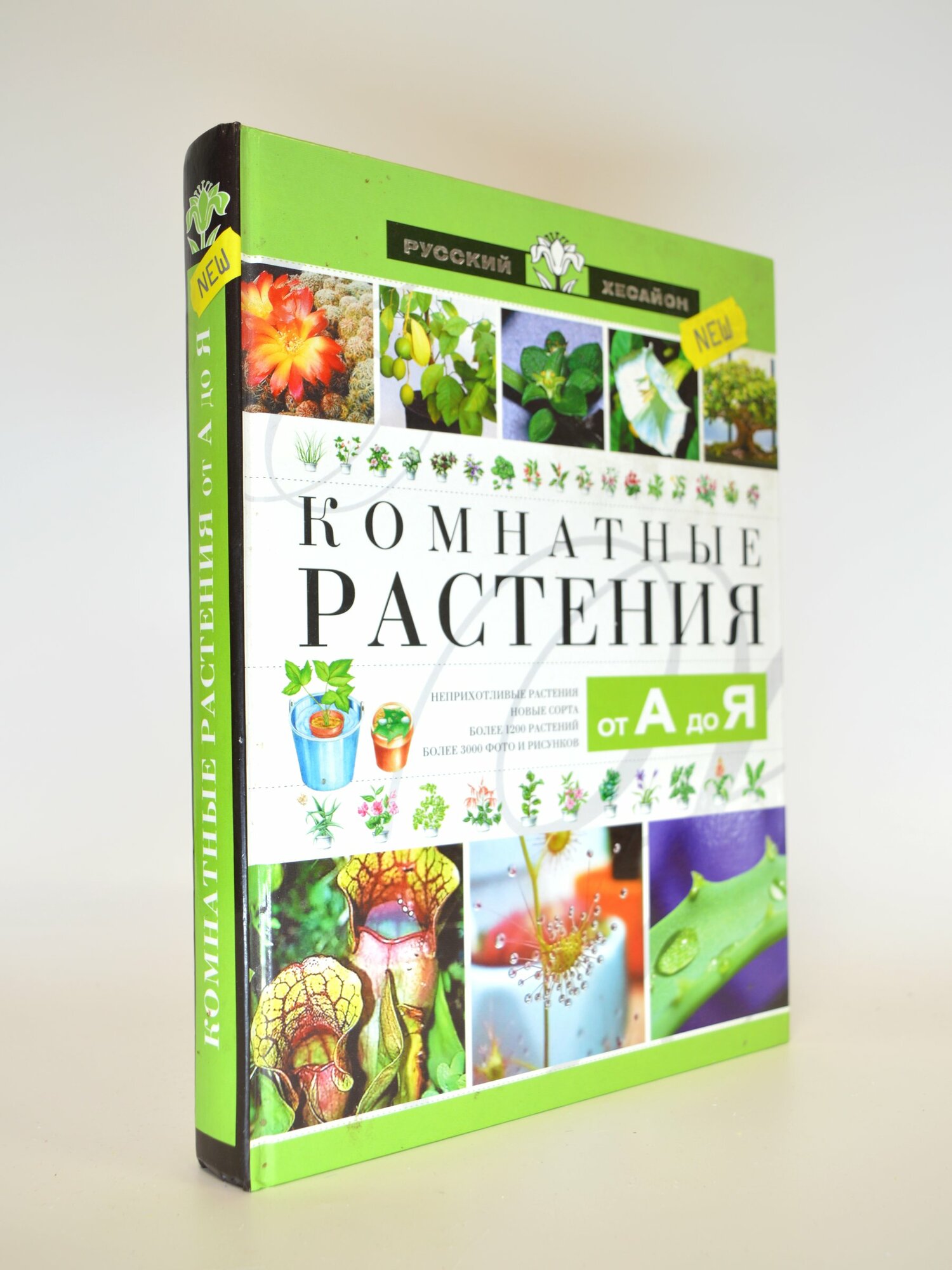 Комнатные растения от А до Я. Бердникова Ольга Витальевна. Букинистическая книга в отличном состоянии.