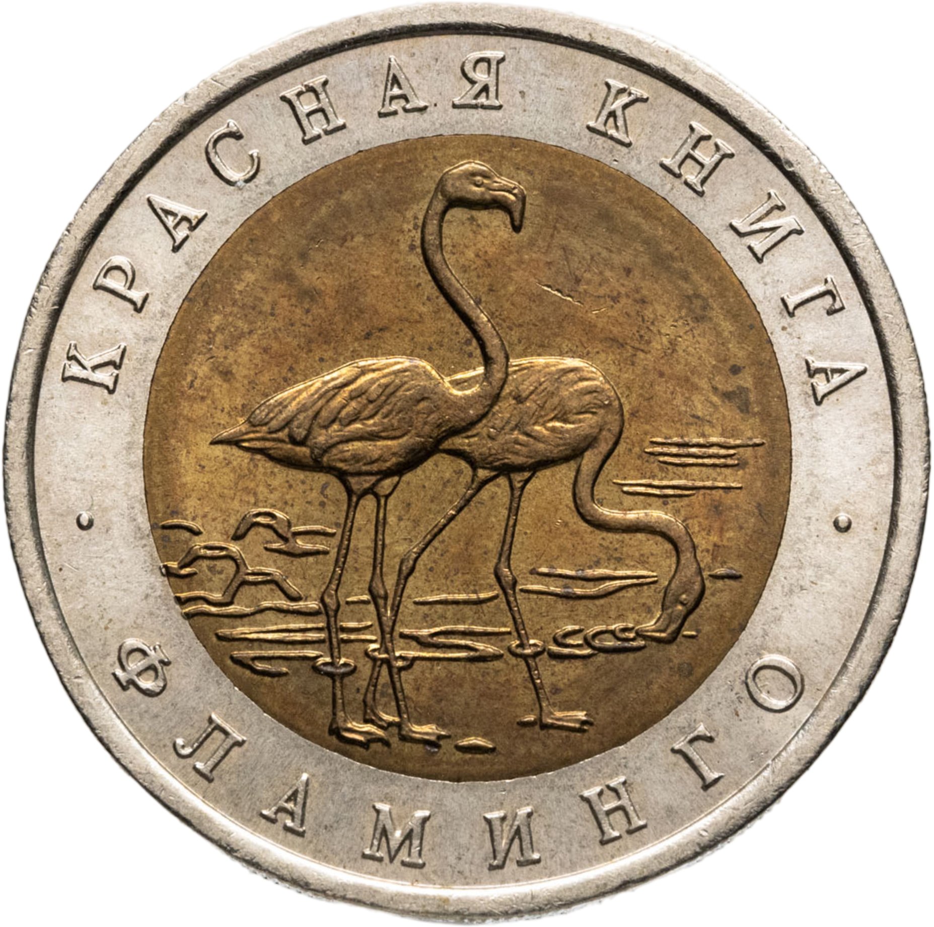 50 рублей 1994 ЛМД фламинго, Биметалл, в сохранности XF-AU