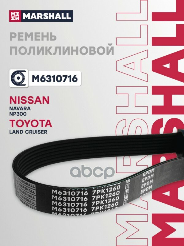 Ремень поликлиновой MARSHALL арт. M6310716