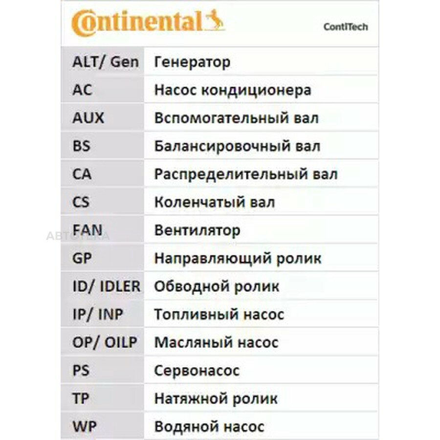 Ремень поликлиновой инструмент Tool06 CONTITECH 6PK1059ELASTT2
